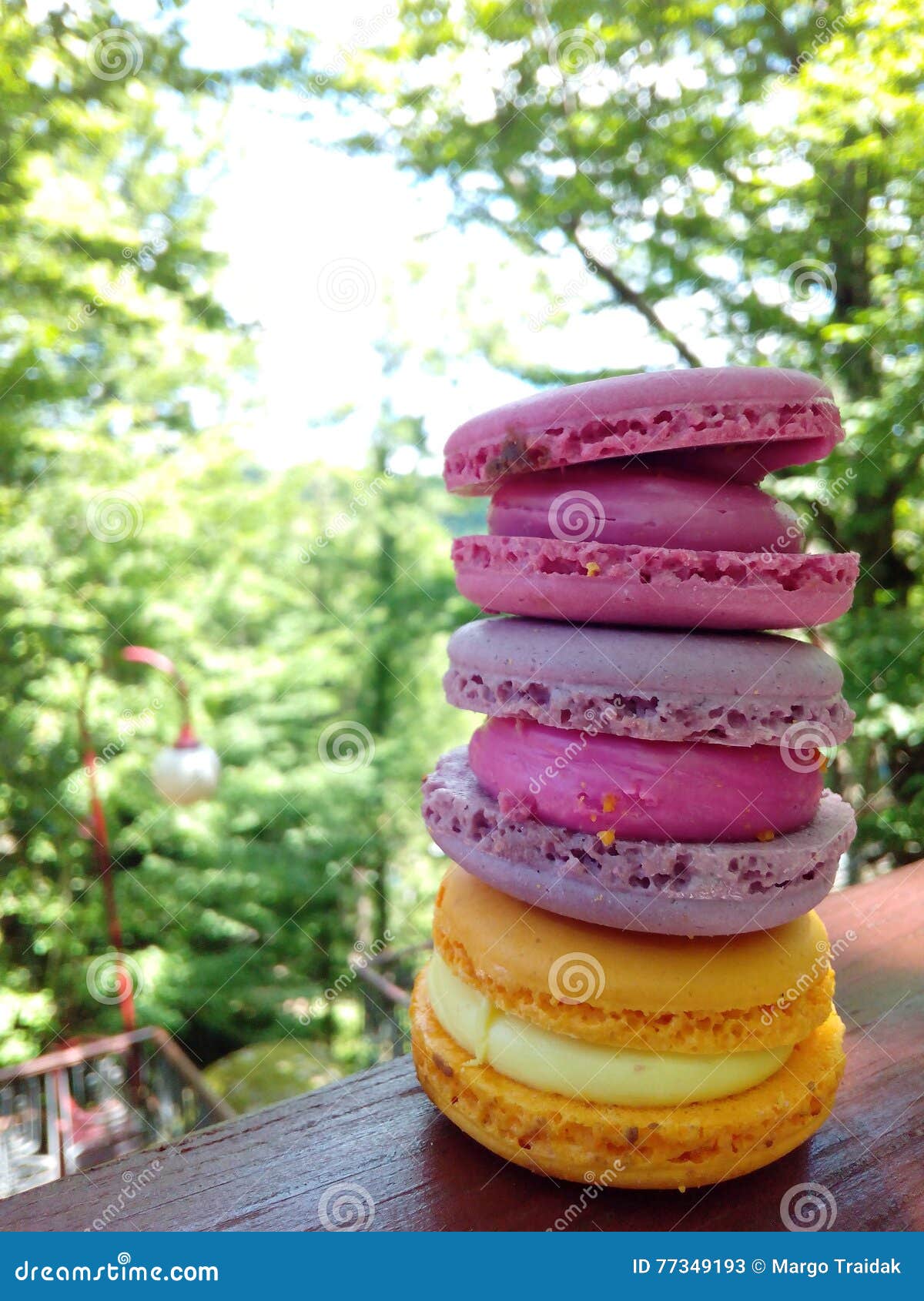 Macarons stock image. Image of nature, forest, sweet - 77349193