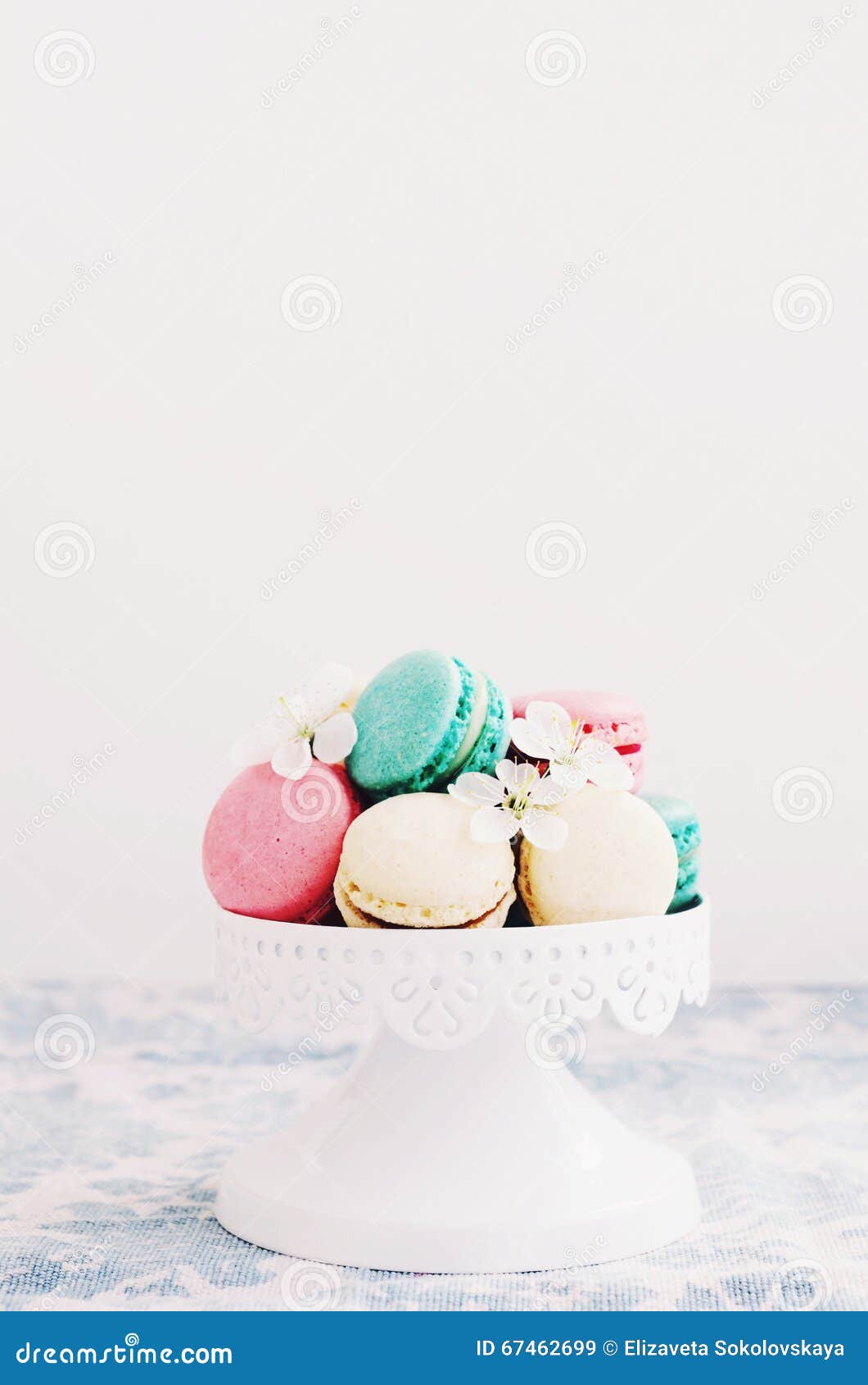 Macaroons Decorated with White Flowers on Cake Stand Stock Image ...