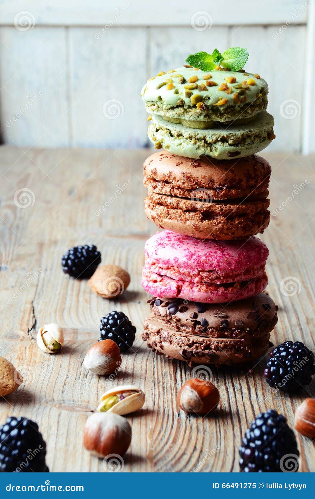 Macaroons stock image. Image of food, macaroons, mint - 66491275