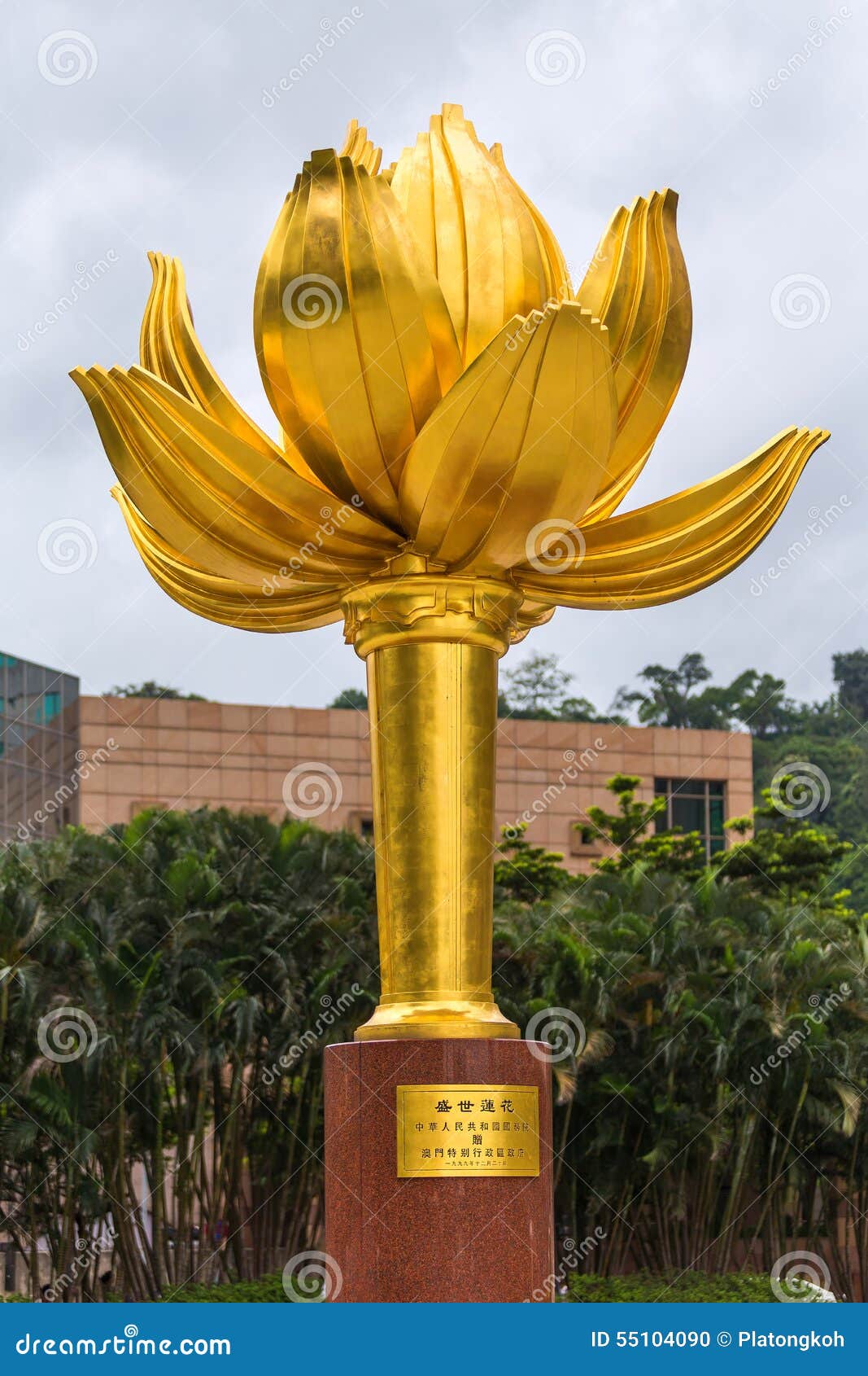 Macau golden lotus square stock photo. Image of lotus - 55104090