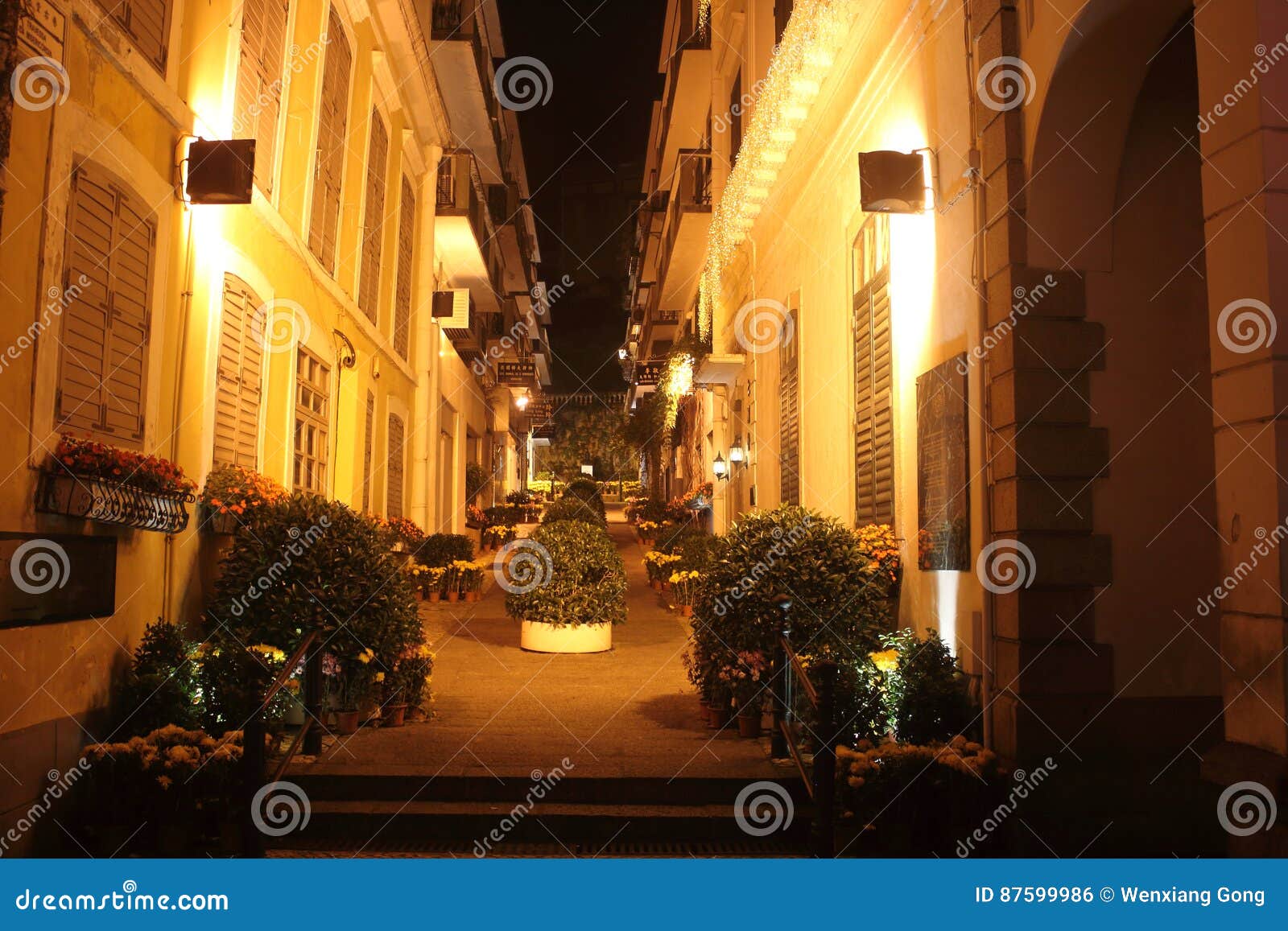 Macau night street corner editorial photo. Image of backgrounds - 87599986