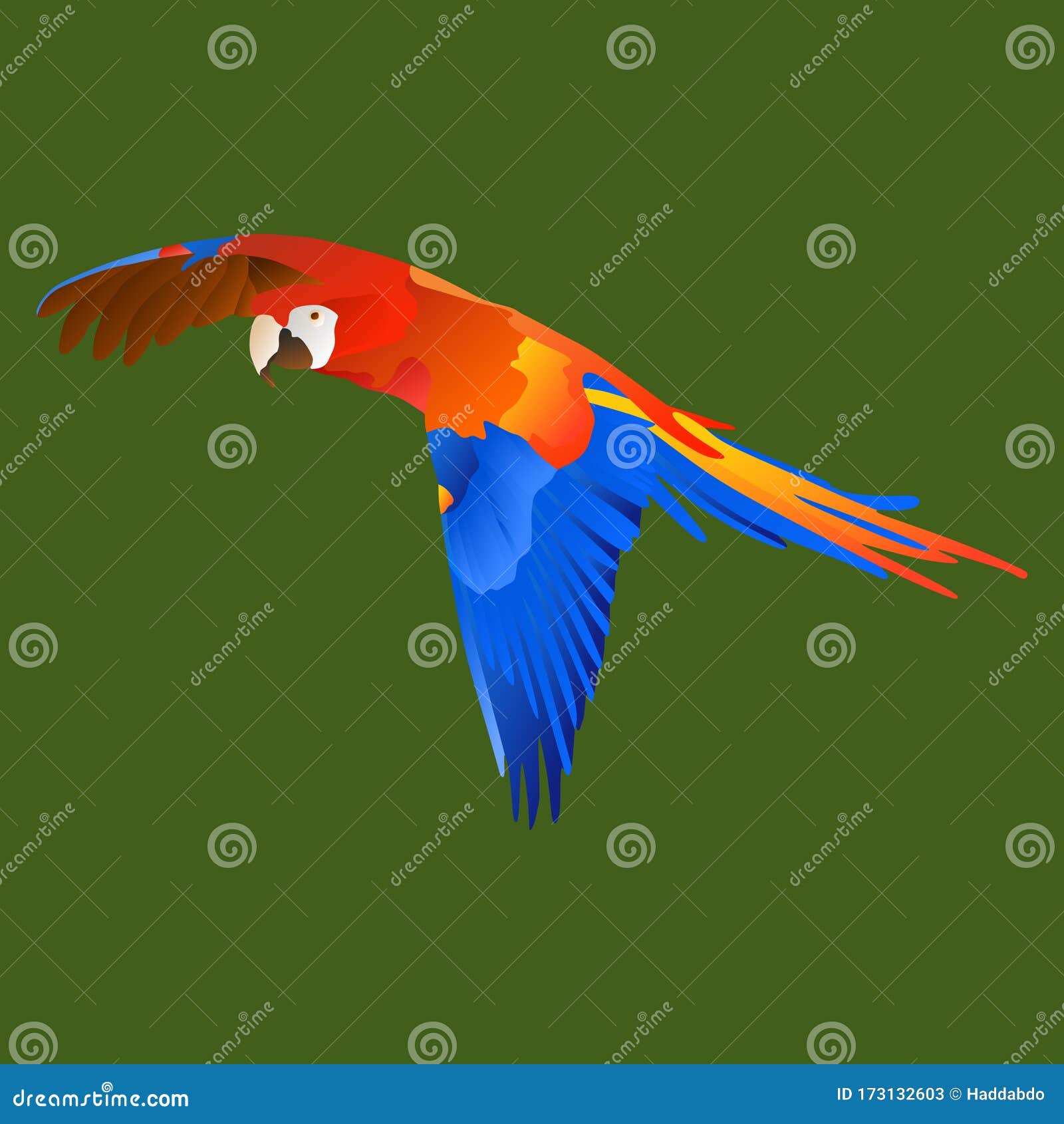 Scarlet Macaw: the Most Beautiful Parrot. Vector Design Stock Vector ...