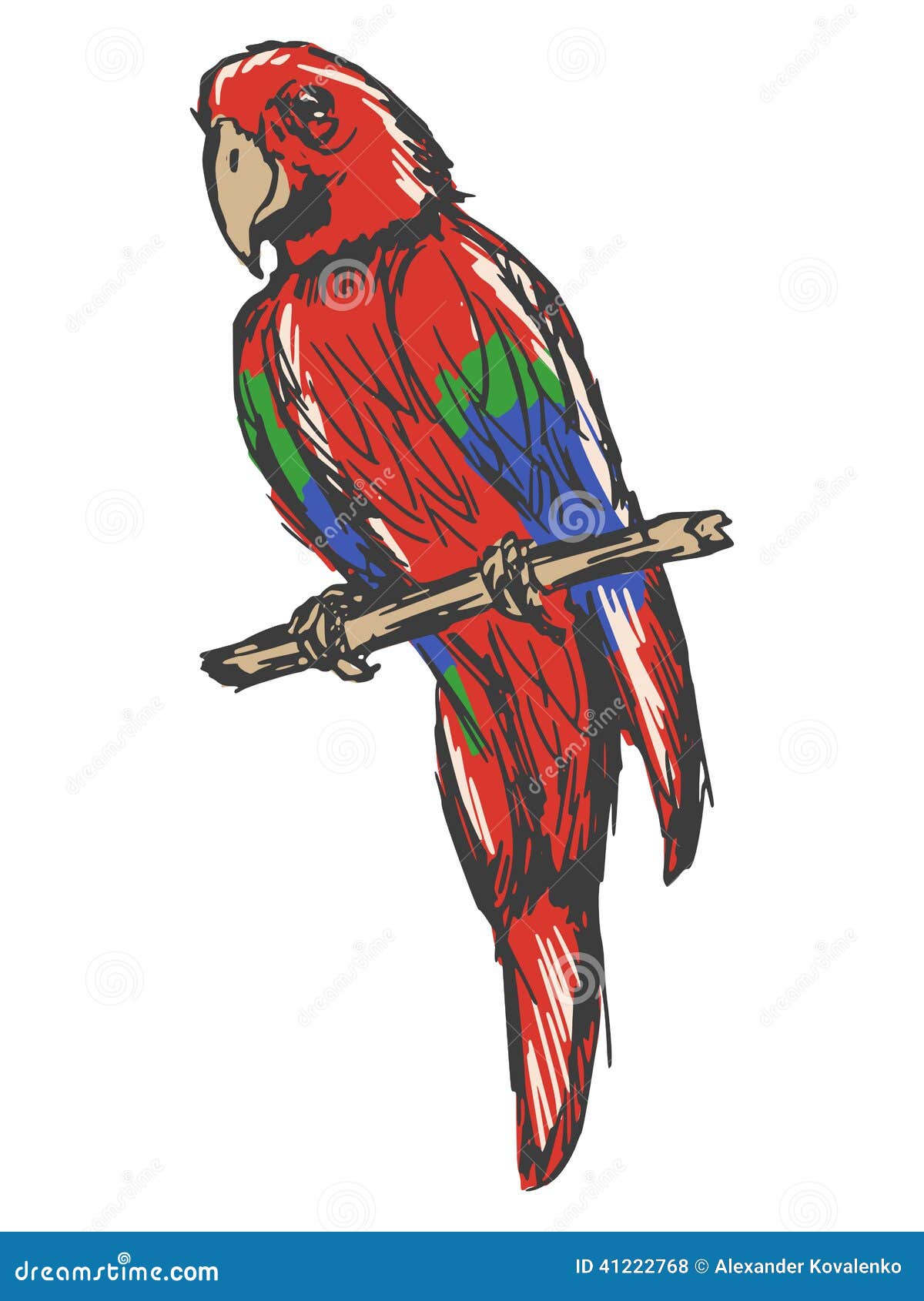 Macaw stock vector. Illustration of feathers, bird, colorful - 41222768