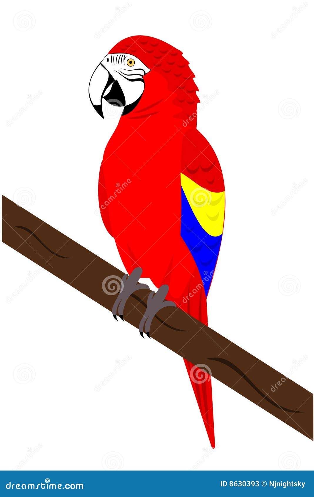 Red Macaw Parrot Illustration | CartoonDealer.com #30013070
