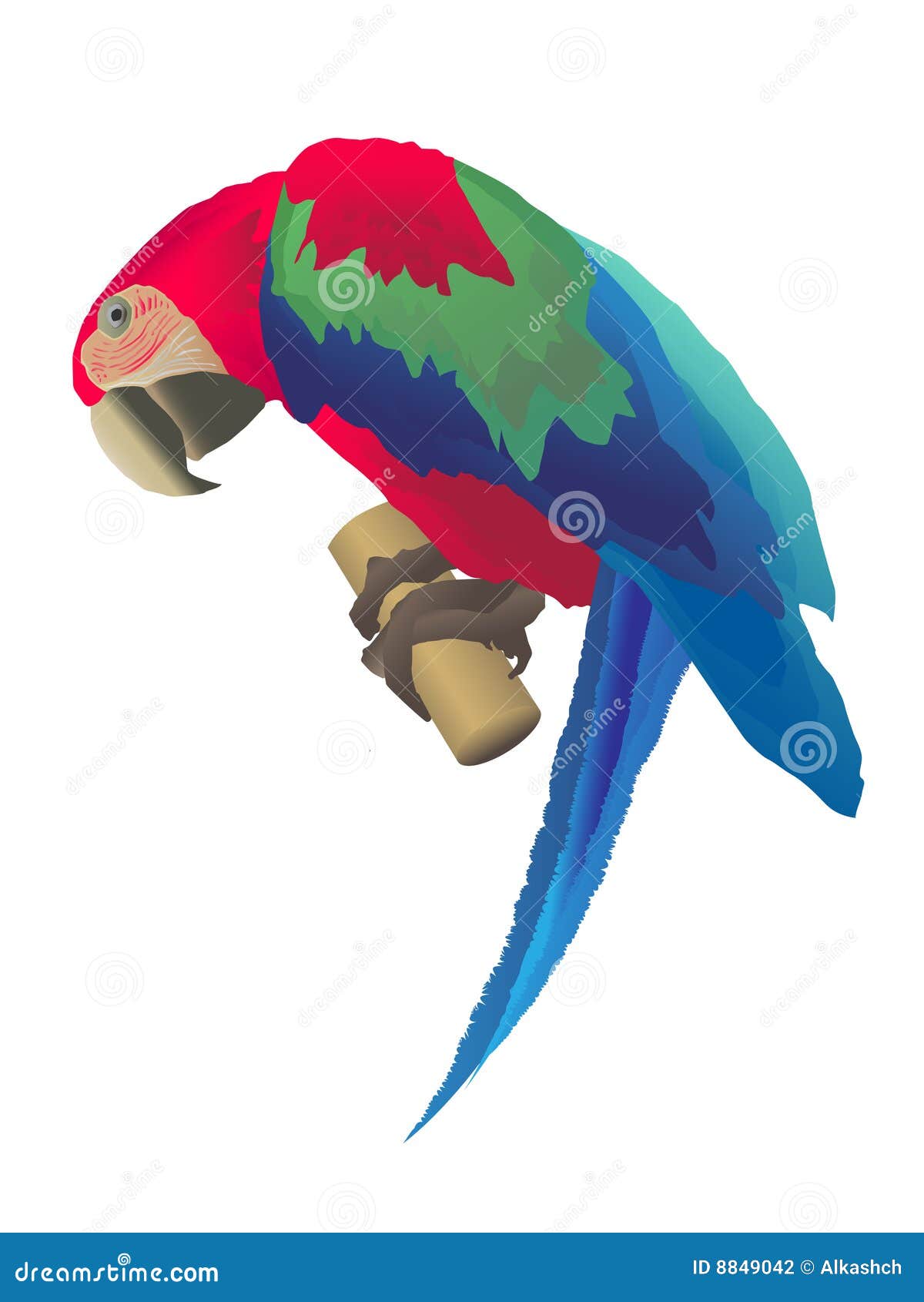 Scarlet Macaws Icon Circle Cartoon Vector | CartoonDealer.com #108600195