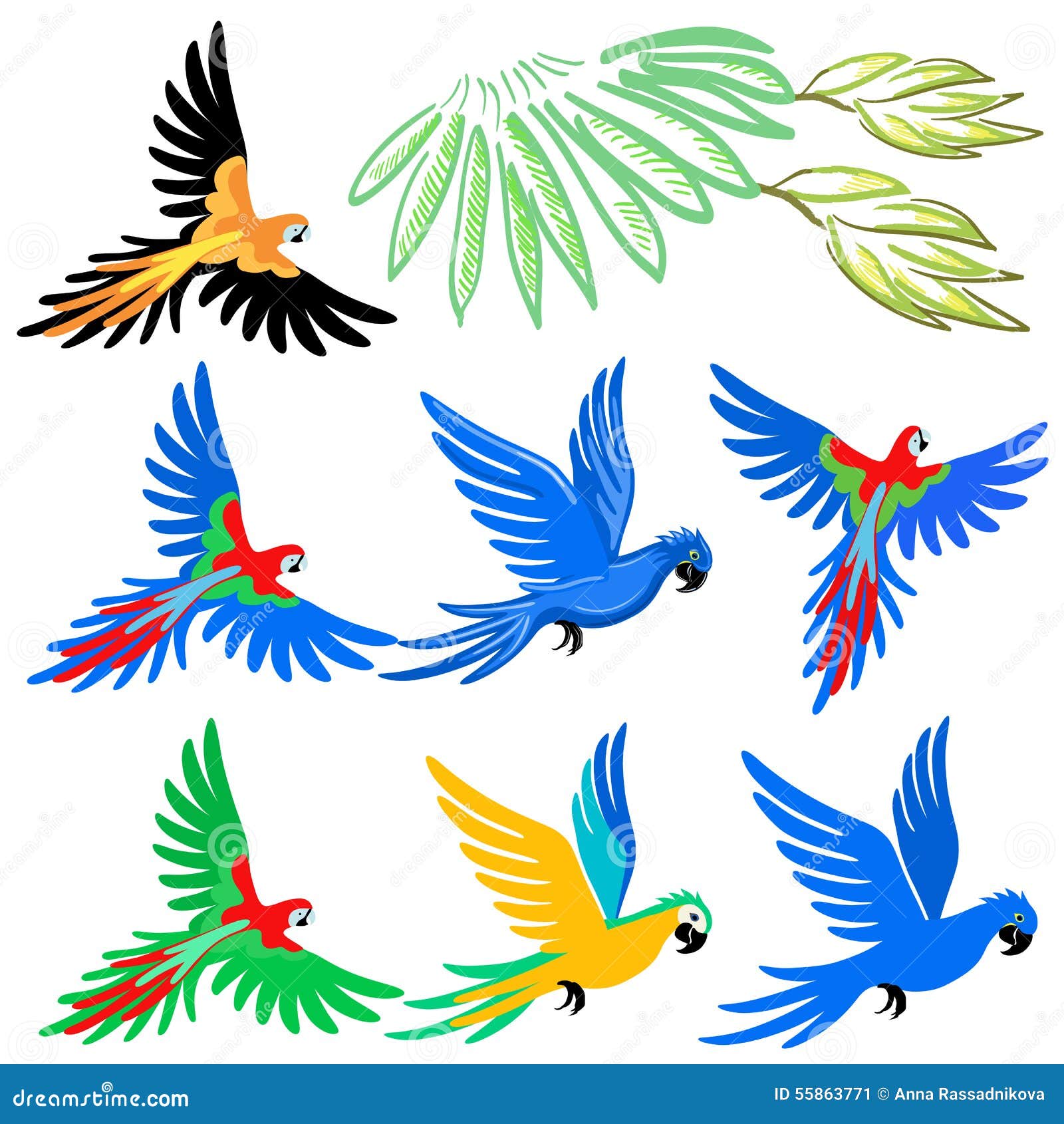 Macaw parrot pattern set stock vector. Illustration of animal - 55863771
