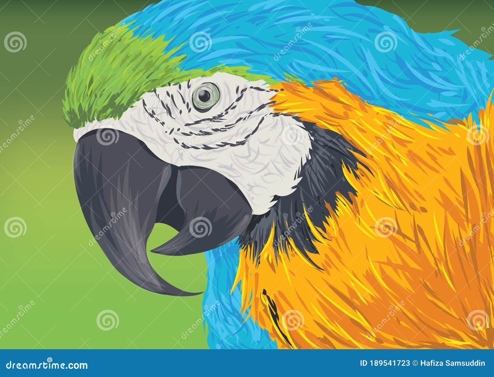 Macaw Parrot. Vector Illustration Decorative Design Stock Vector ...