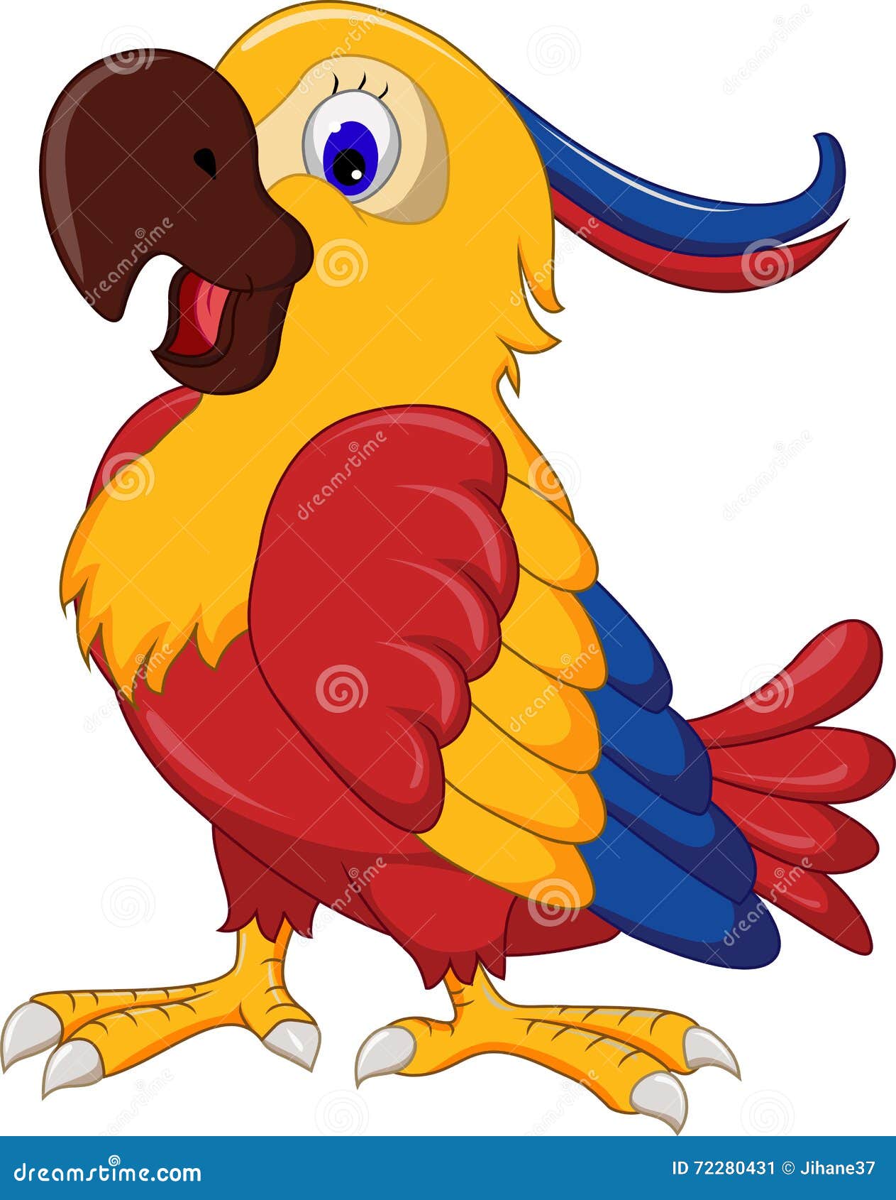 Macaw Wing Bird Cartoon Royalty-Free Stock Photo | CartoonDealer.com ...