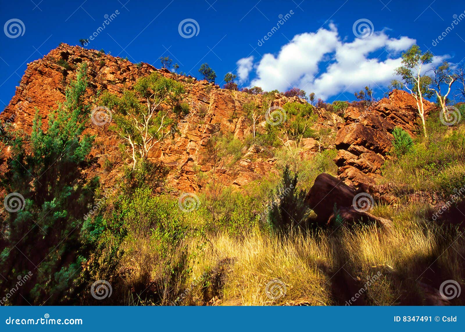 Macdonnell ranges stock image. Image of australian, scenic - 8347491