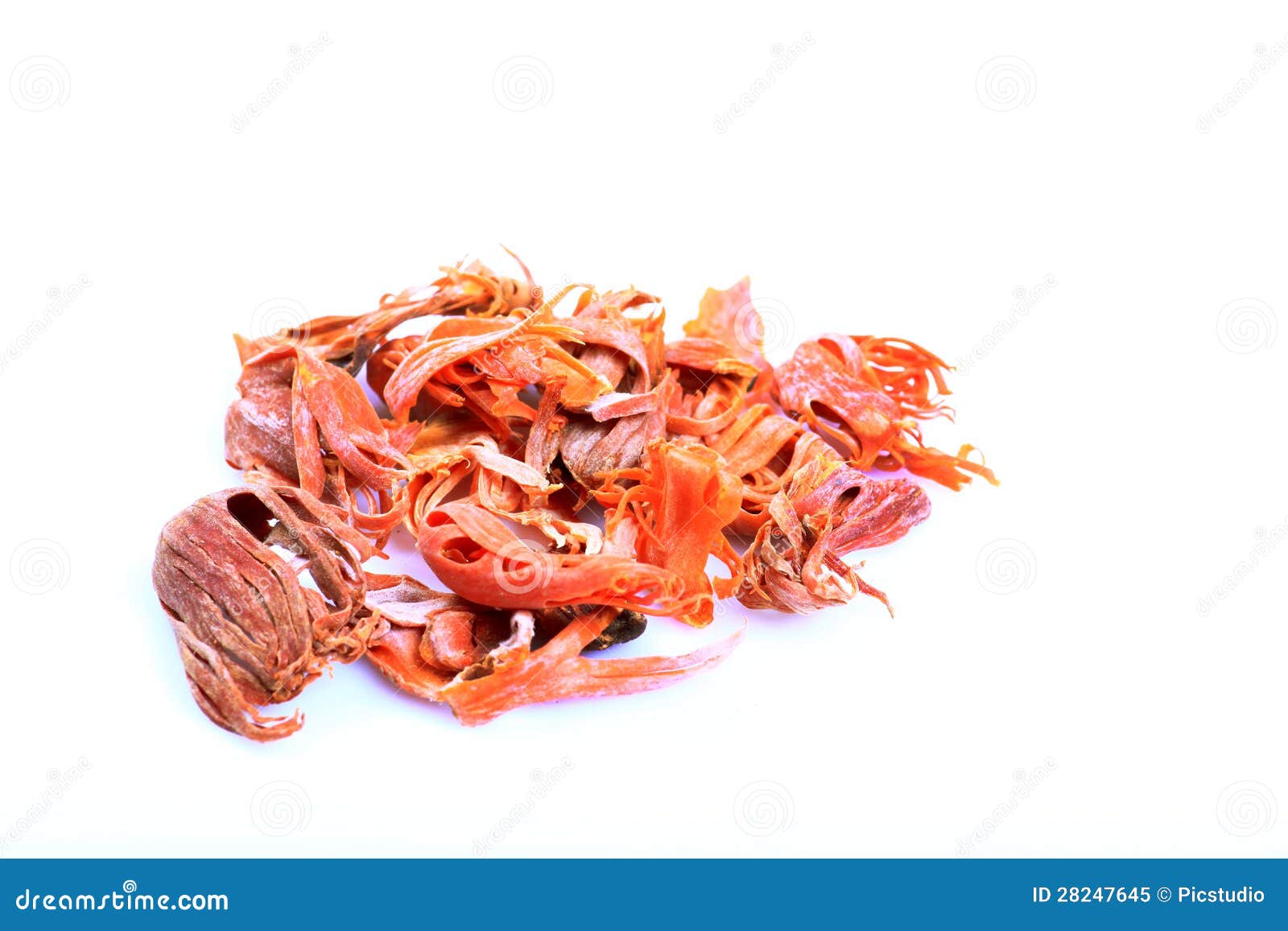 Mace stock image. Image of health, ting, skin, nutmeg - 28247645