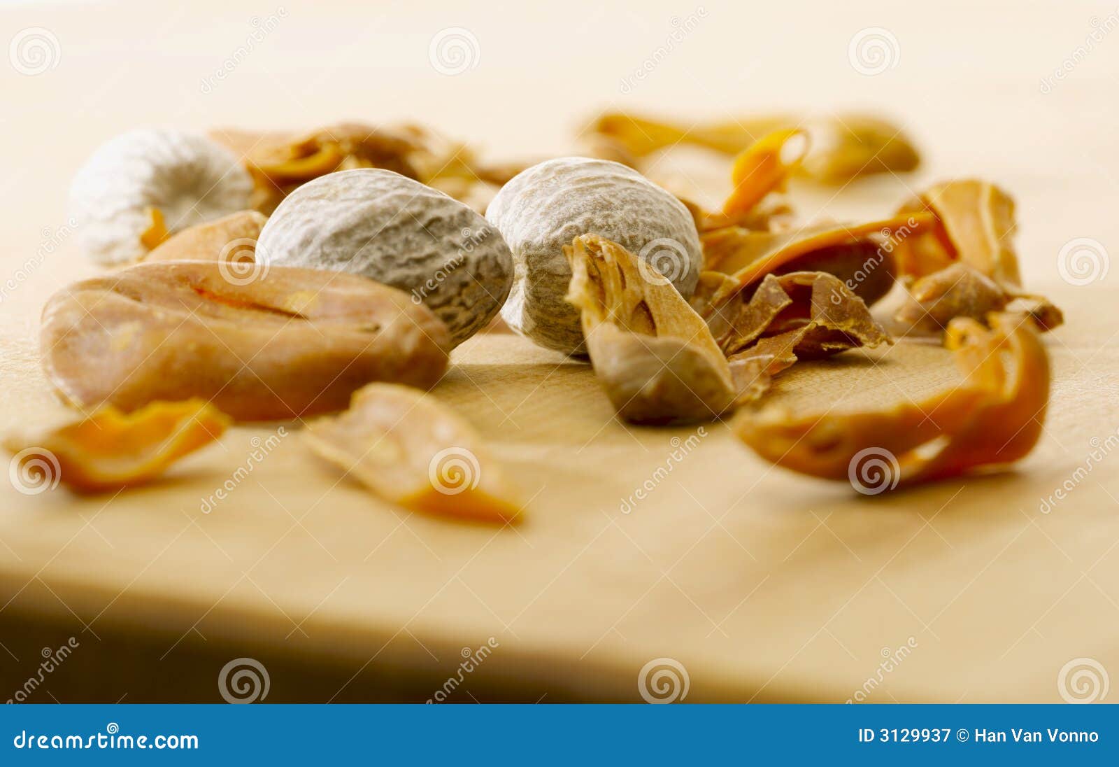 Mace and Nutmeg stock image. Image of scented, seed, chinese - 3129937