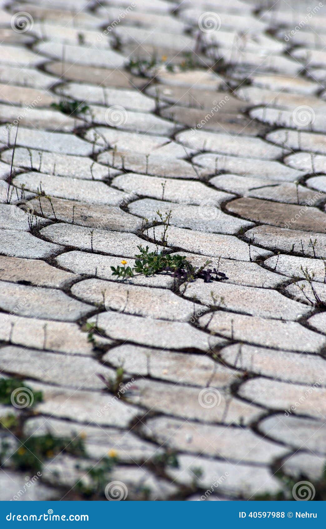 Macedonian Road in spring stock photo. Image of paving - 40597988
