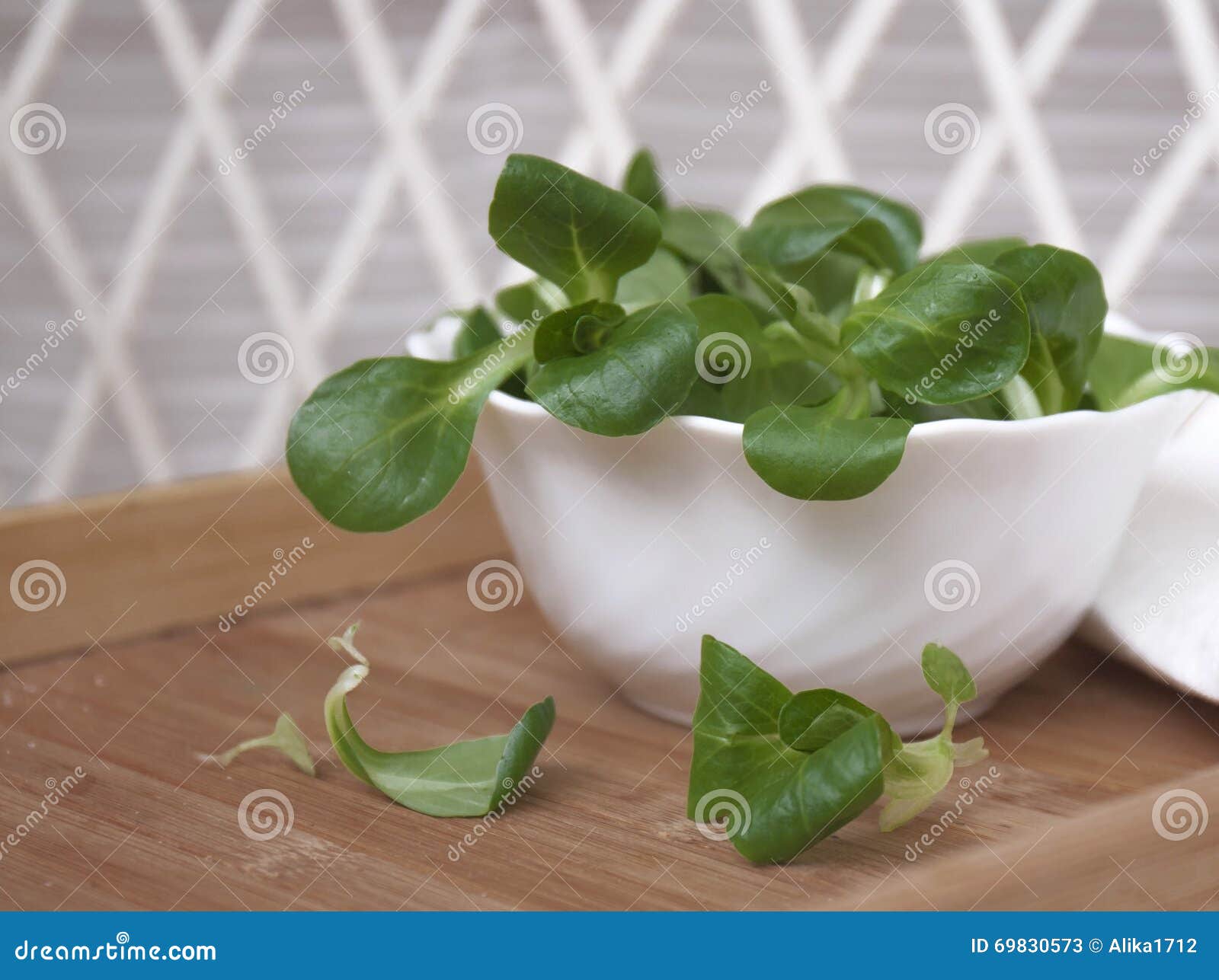 Mache Lettuce, Freshly Harvested from Organic Farm Stock Image - Image ...