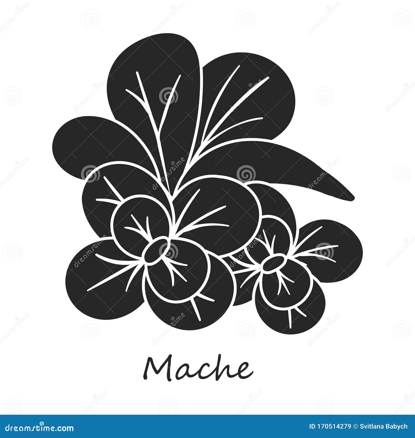 Mache Vector Icon.Cartoon Vector Icon Isolated On White Background ...