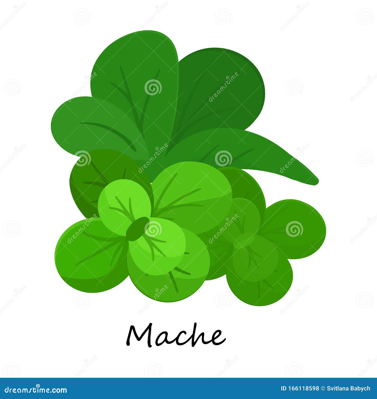 Mache Vector Icon.Cartoon Vector Icon Isolated On White Background ...