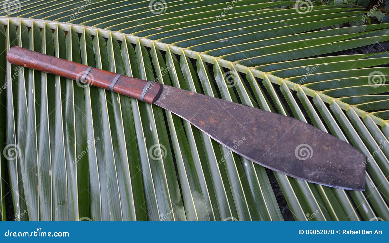 Machete Do Fijian Com Punho De Madeira Foto de Stock - Imagem de palma ...