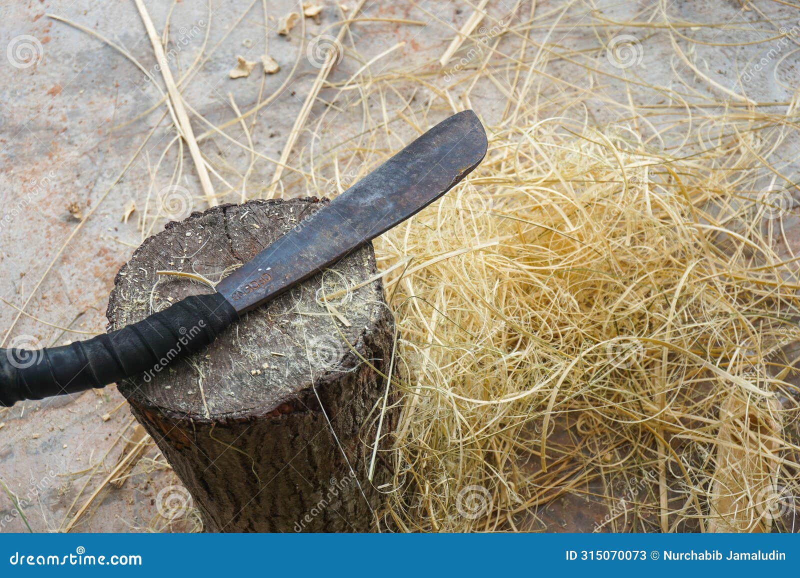 Machete on a log stock image. Image of nature, handle - 315070073