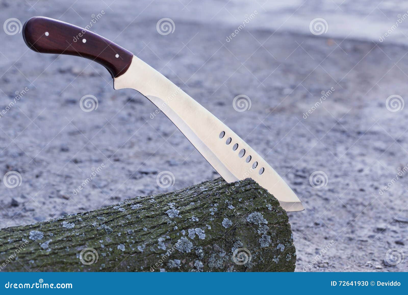 Machete stuck in stump stock photo. Image of chores, trunk - 72641930