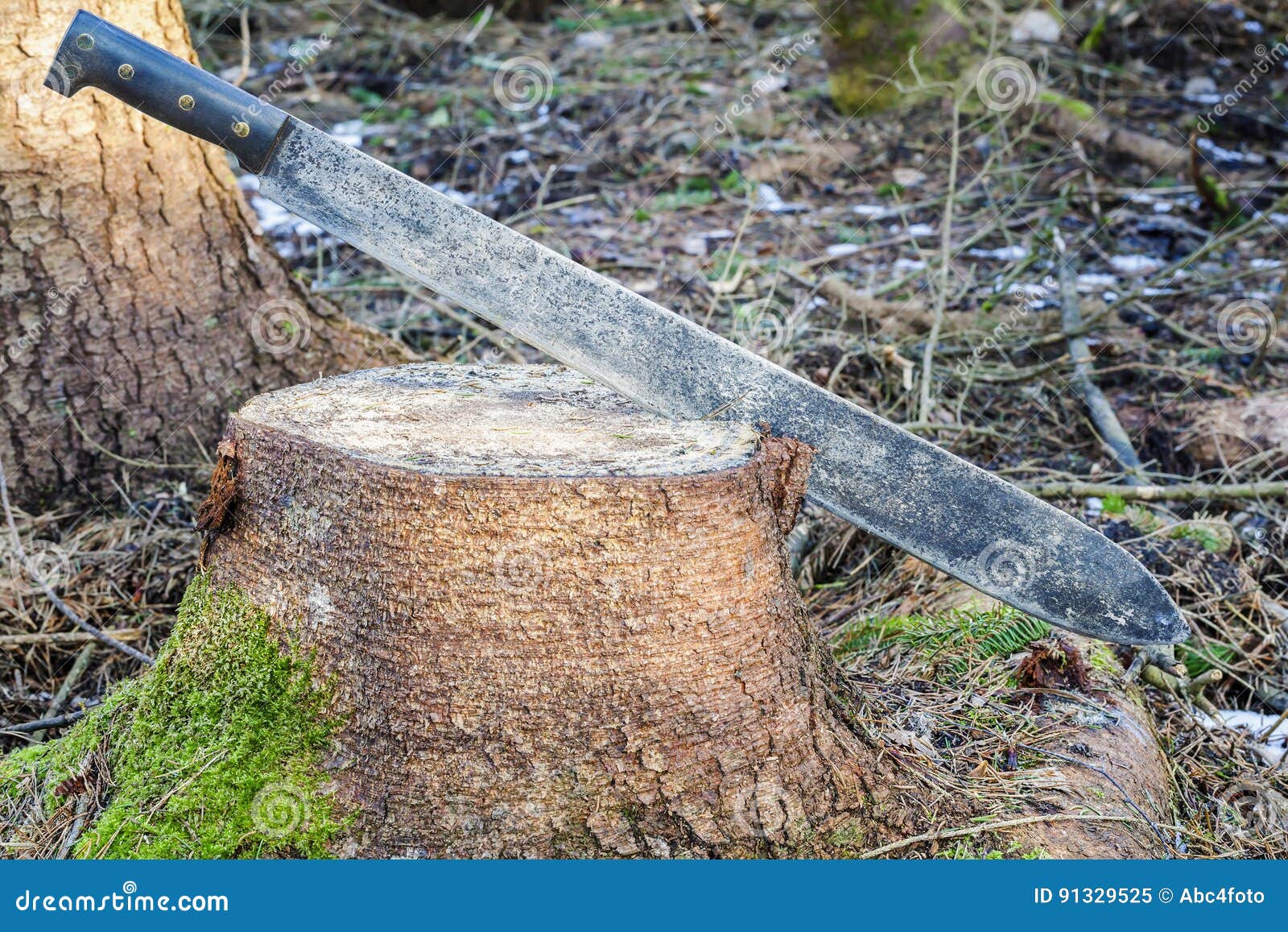 Machete in stump stock image. Image of plants, steel - 91329525