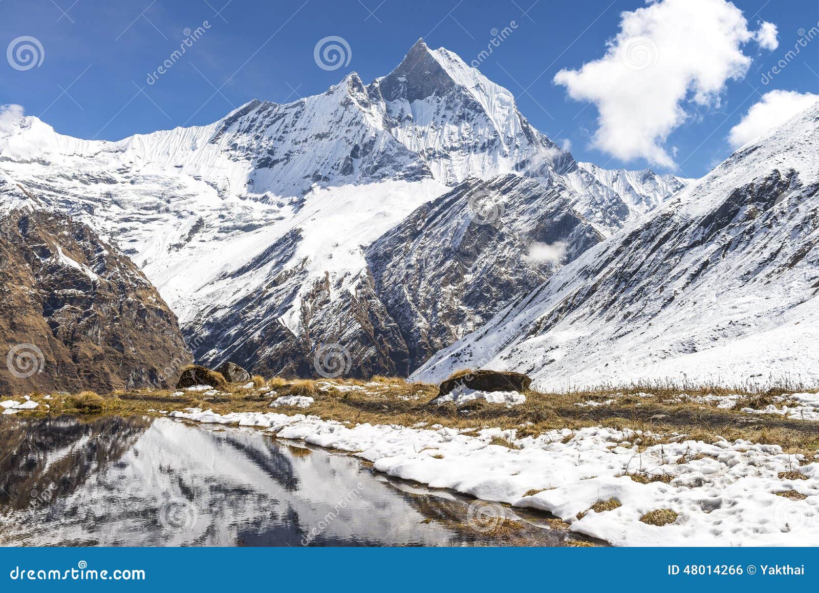 Machhapuchchhre Base Camp Pokhara Nepal / Mount Machhapuchchhre Stock ...