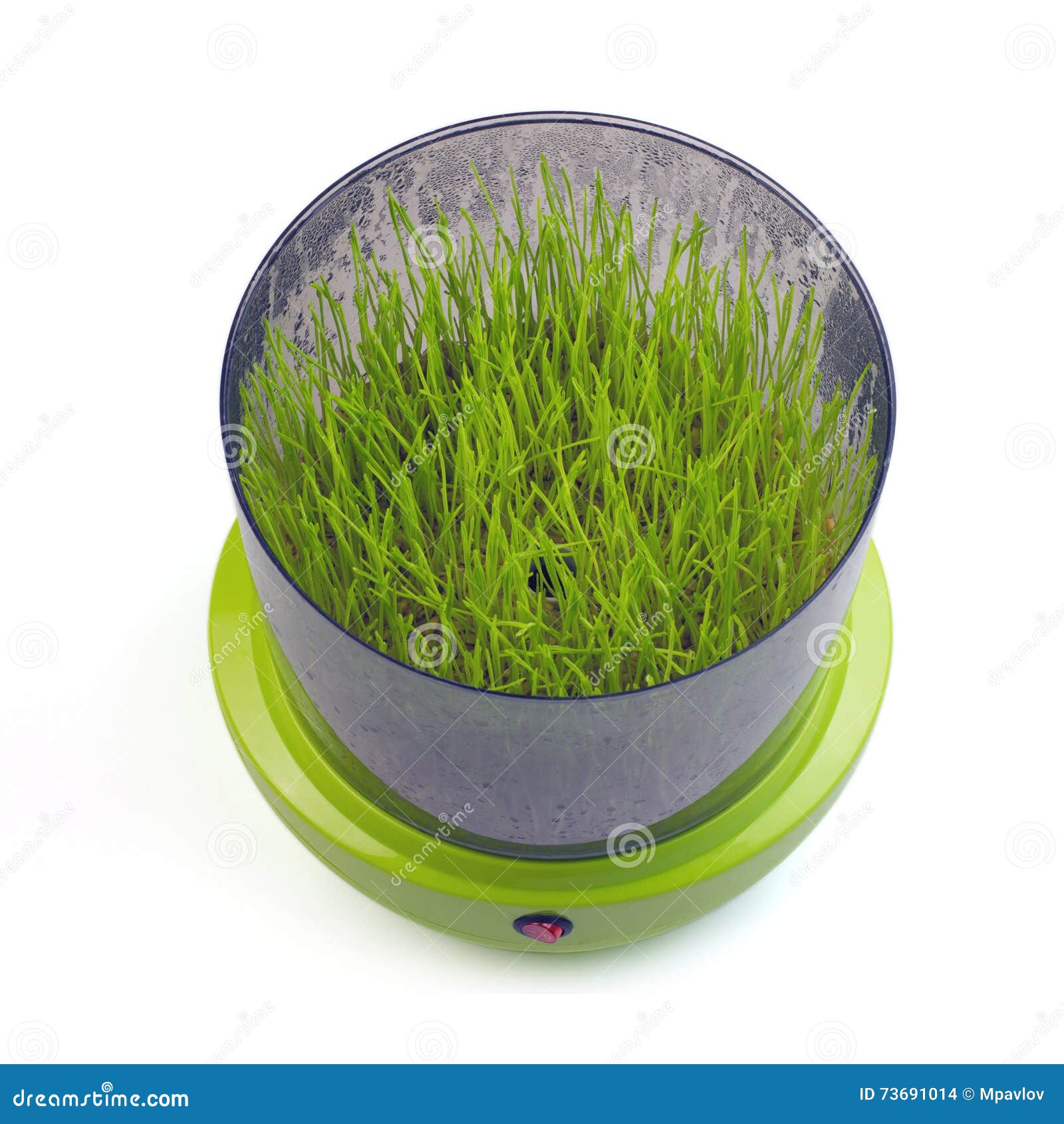 Machine for Automatic Sprouting Grains Stock Photo - Image of germ ...