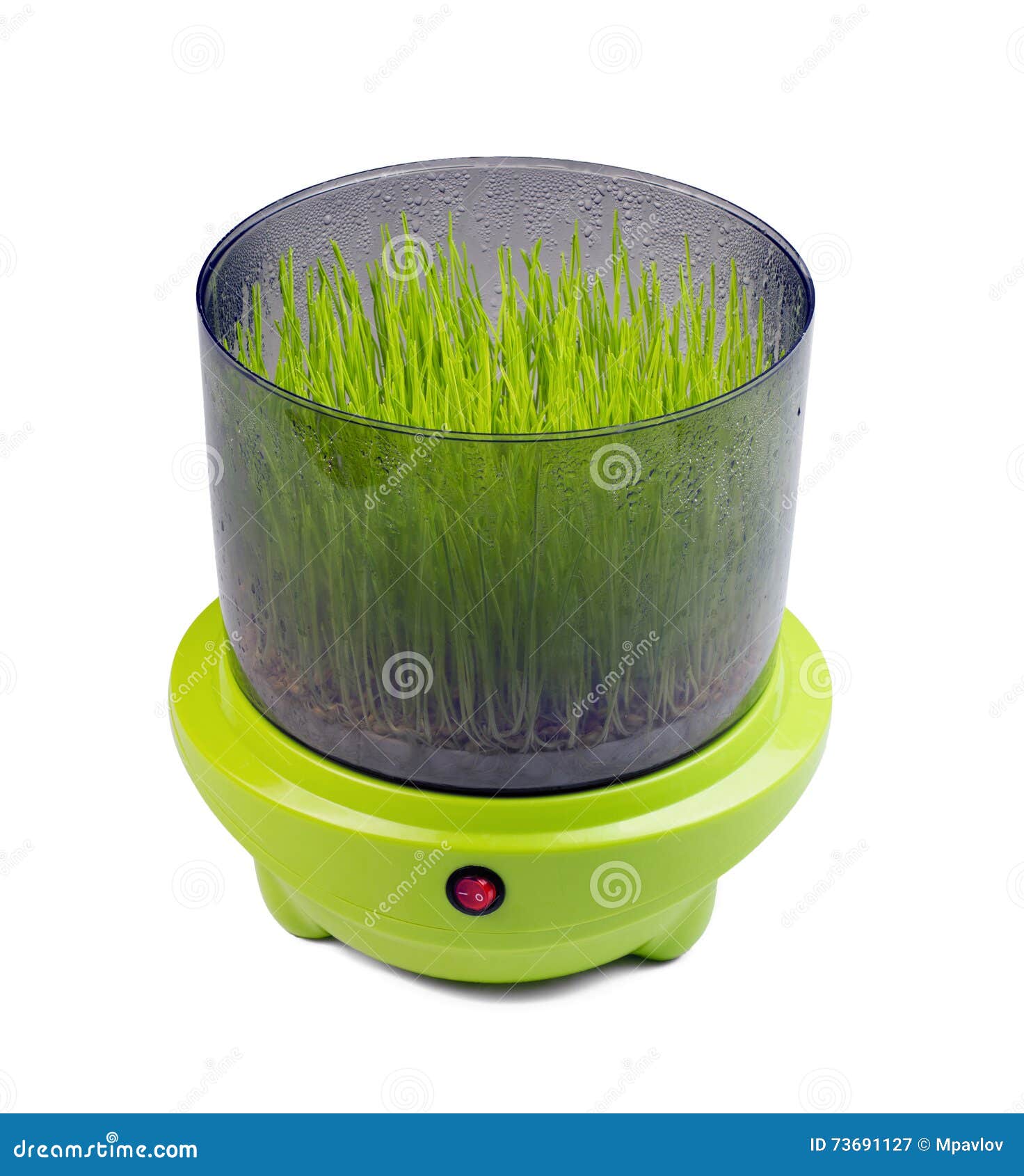 Machine for Automatic Sprouting Grains Stock Image - Image of ...