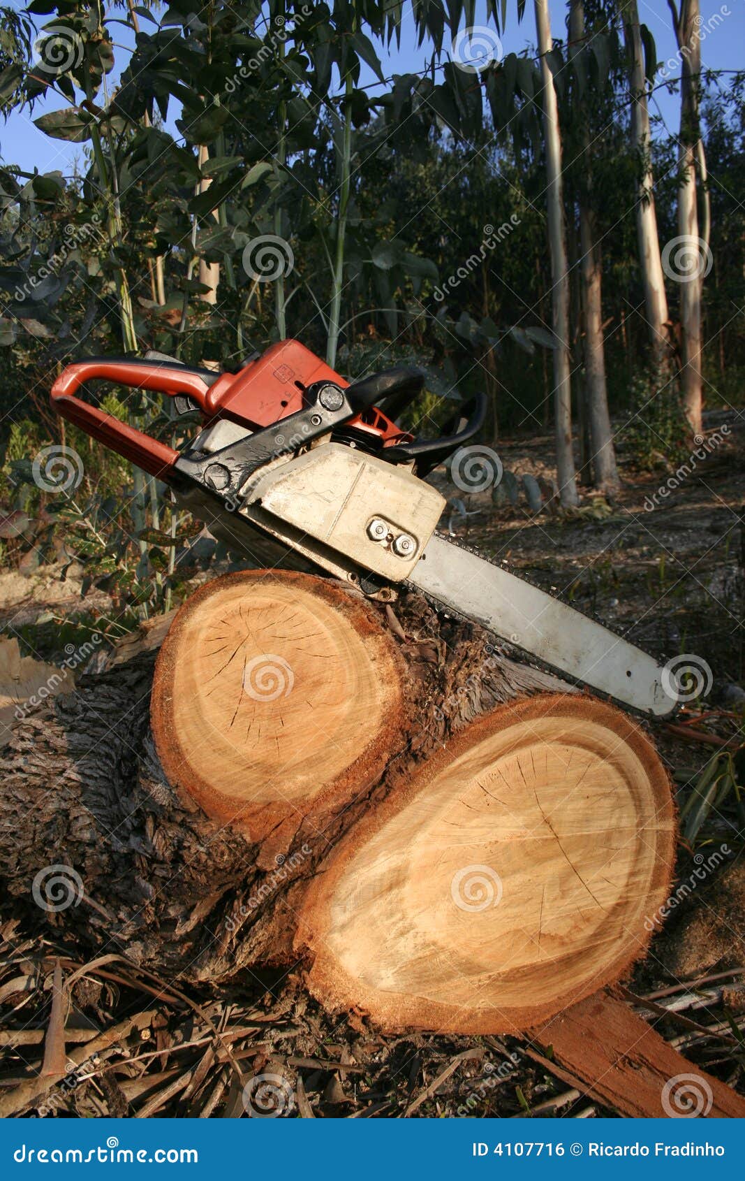 Machine cut hood stock photo. Image of motor, tree, industry - 4107716