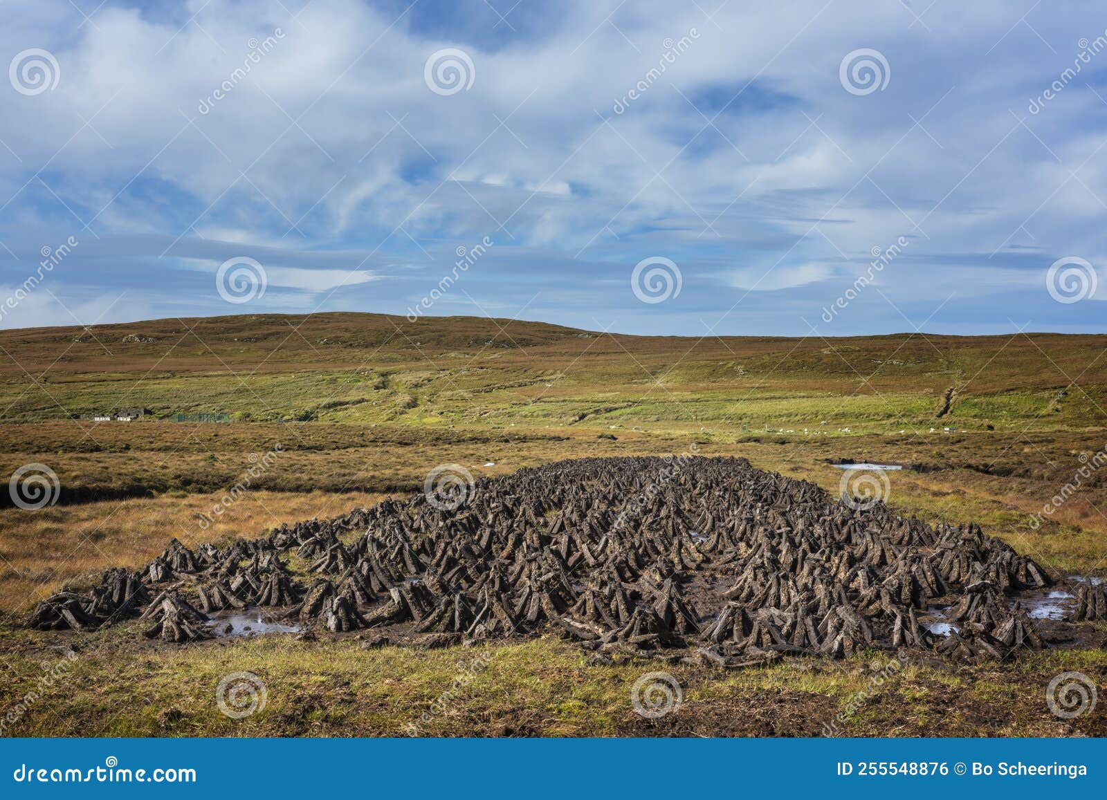 Turf cutting Ireland stock photo. Image of wilderness - 255548876