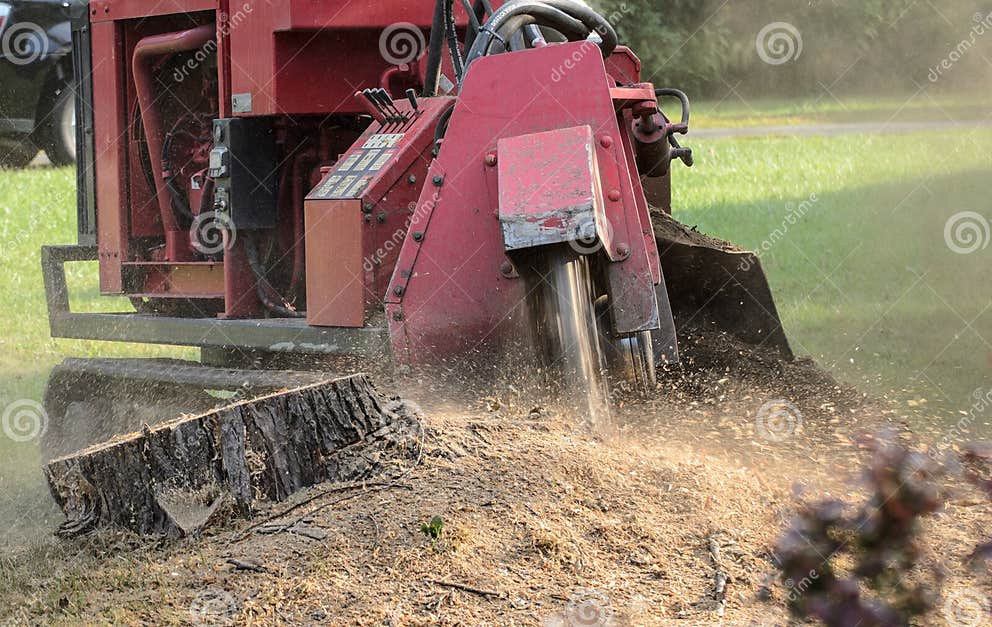 Stump Grinder Machine Grinding Tree Stump Stock Photo - Image of ...