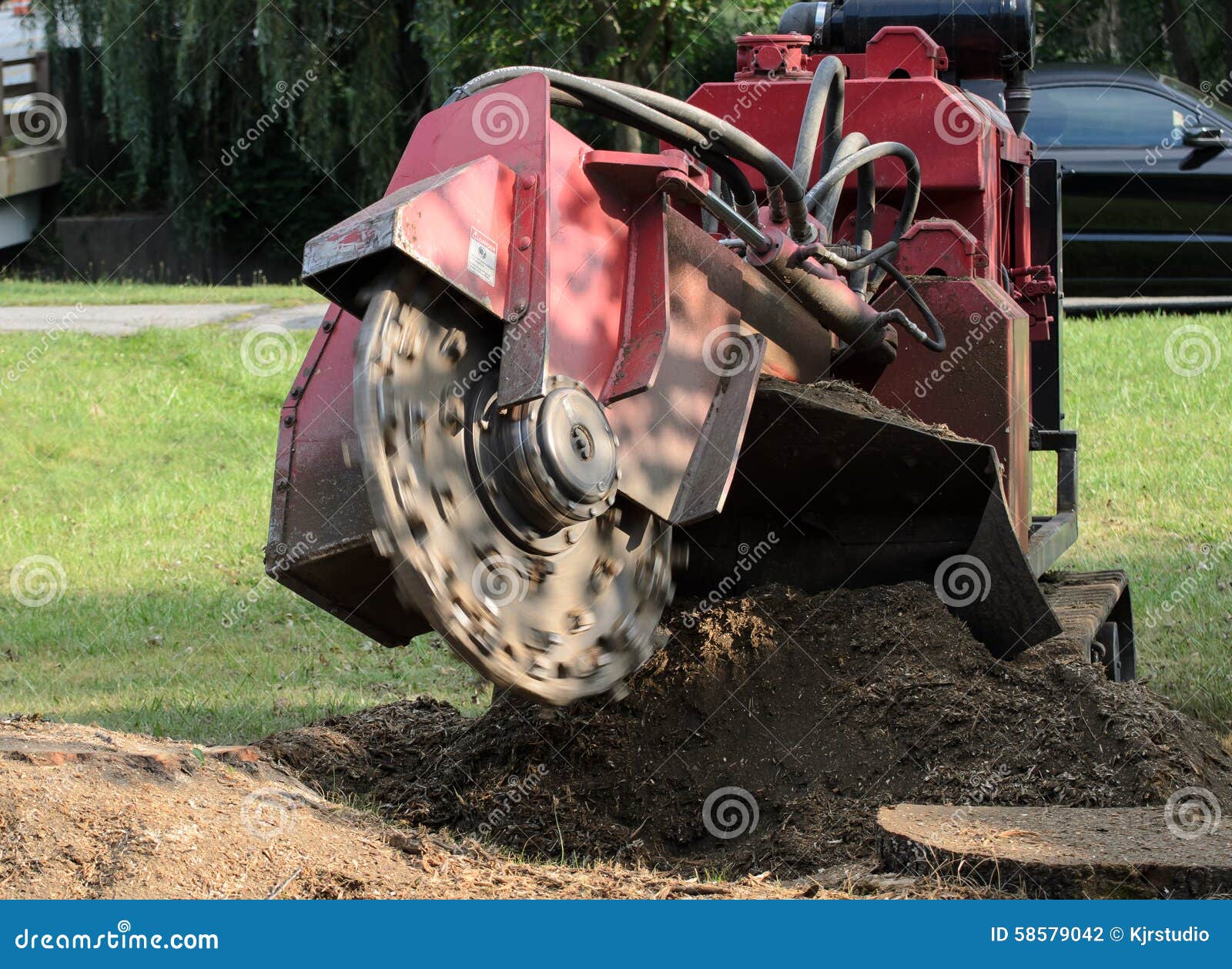 Machine Grinding Tree Stump Stock Photo - Image of power, sawdust: 58579042