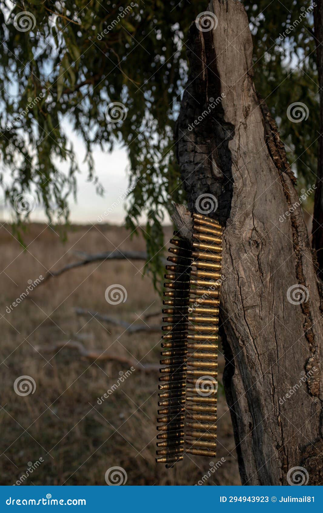 Machine Gun Tape Hangs on a Tree Burned Stock Image - Image of burned ...