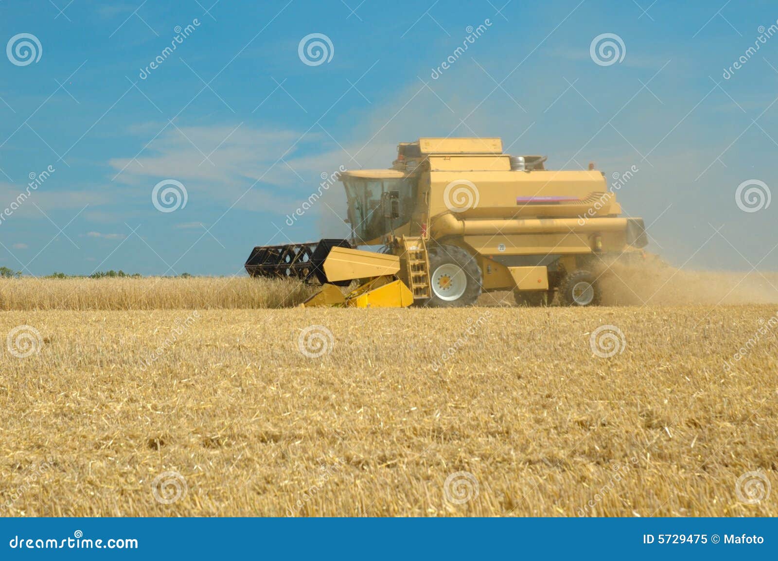 Machine Harvesting the Corn Field Stock Image - Image of harvest ...