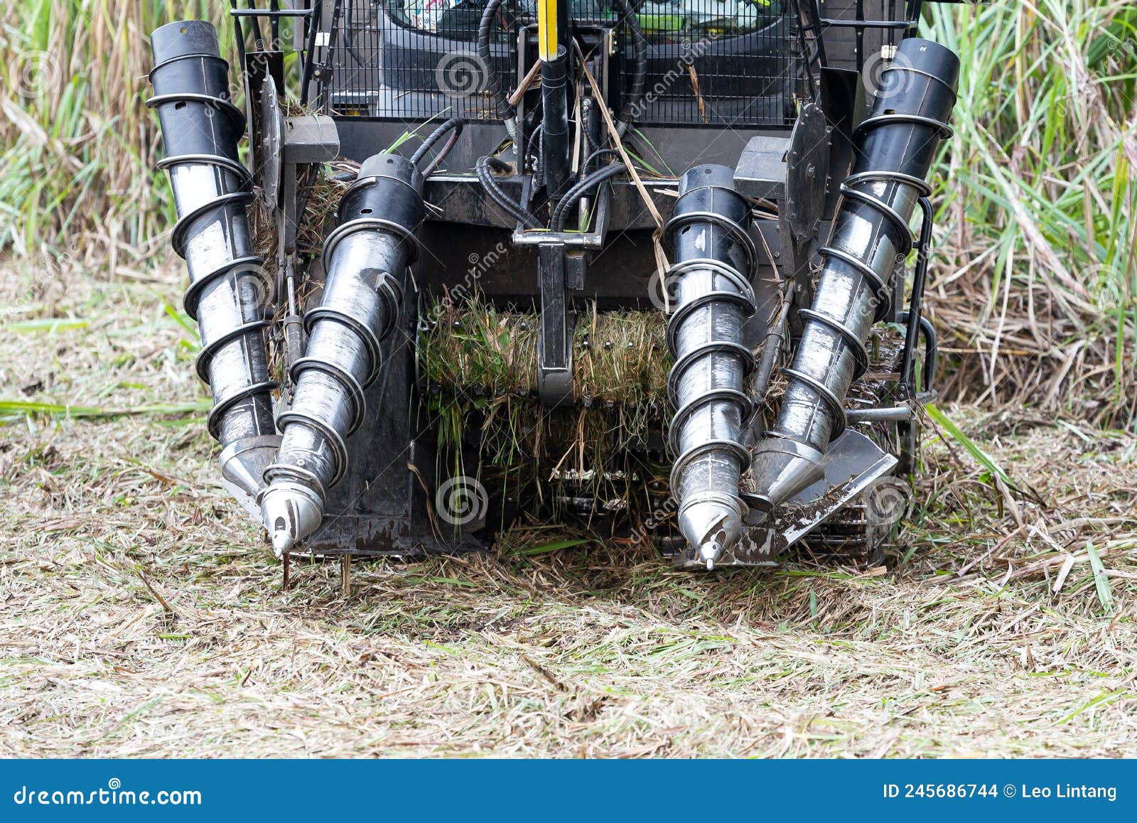 Machine for Harvesting Sugar Cane Stock Photo - Image of landscape ...