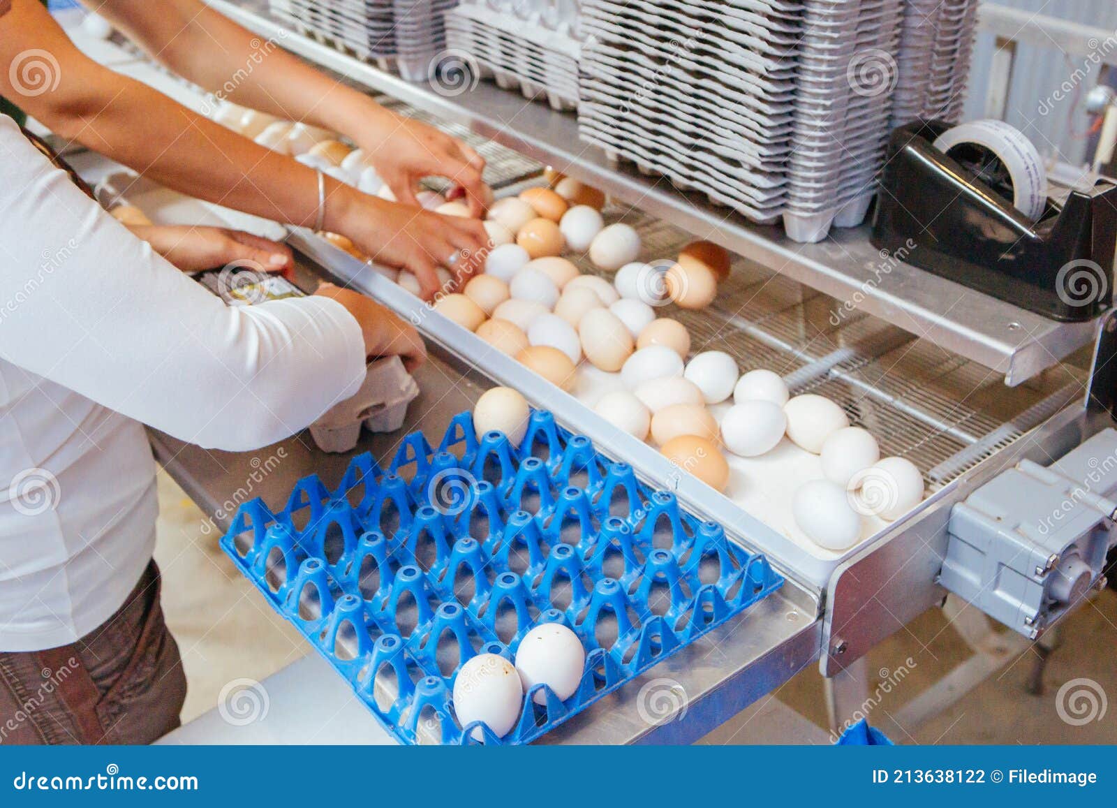 Egg Sorting Machine in Australia Stock Photo - Image of tool, farm ...