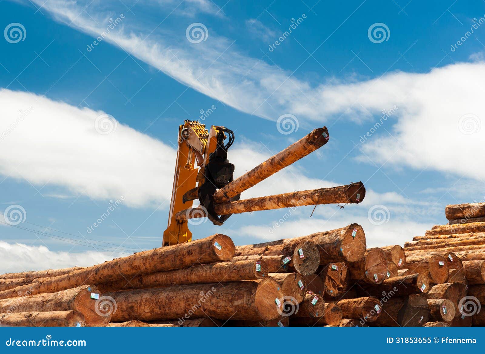 Machine Lifts Timber Onto a Stack Stock Image - Image of nature, timber ...