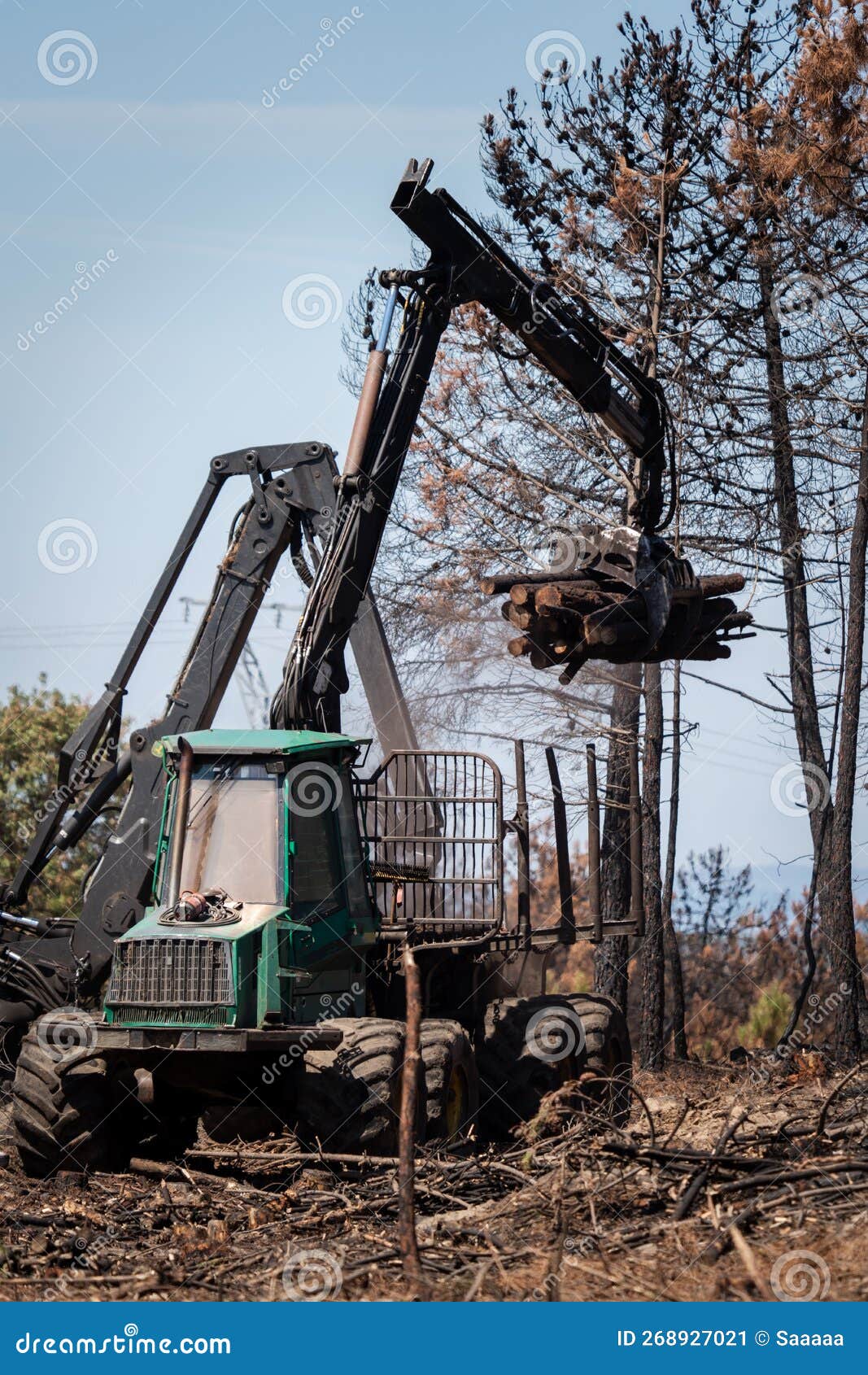Machine Loading Bunch of Logs into a Trailer Stock Image - Image of ...