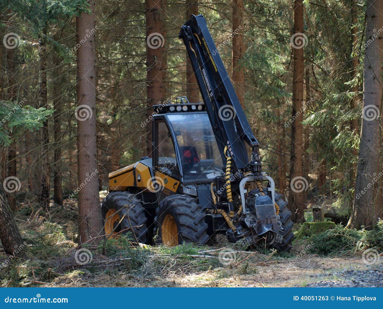 Machine Logging, South Bohemia Stock Image - Image of timber, vehicle ...