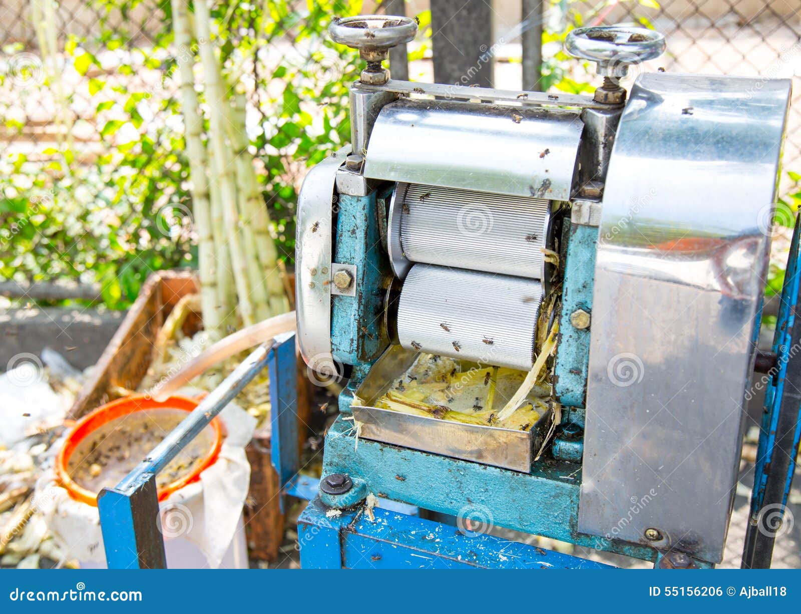 Machine for Make a Fresh Cane Juice with Sugar Cane Press Rolle Stock ...