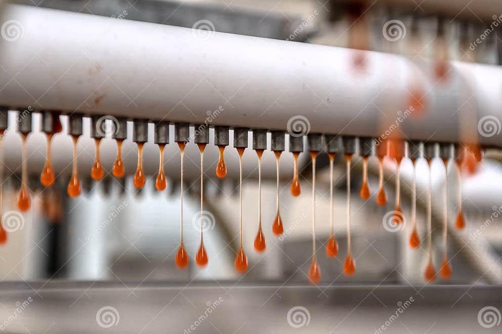 Machine for the Production of Artificial Red Caviar. Stock Image ...