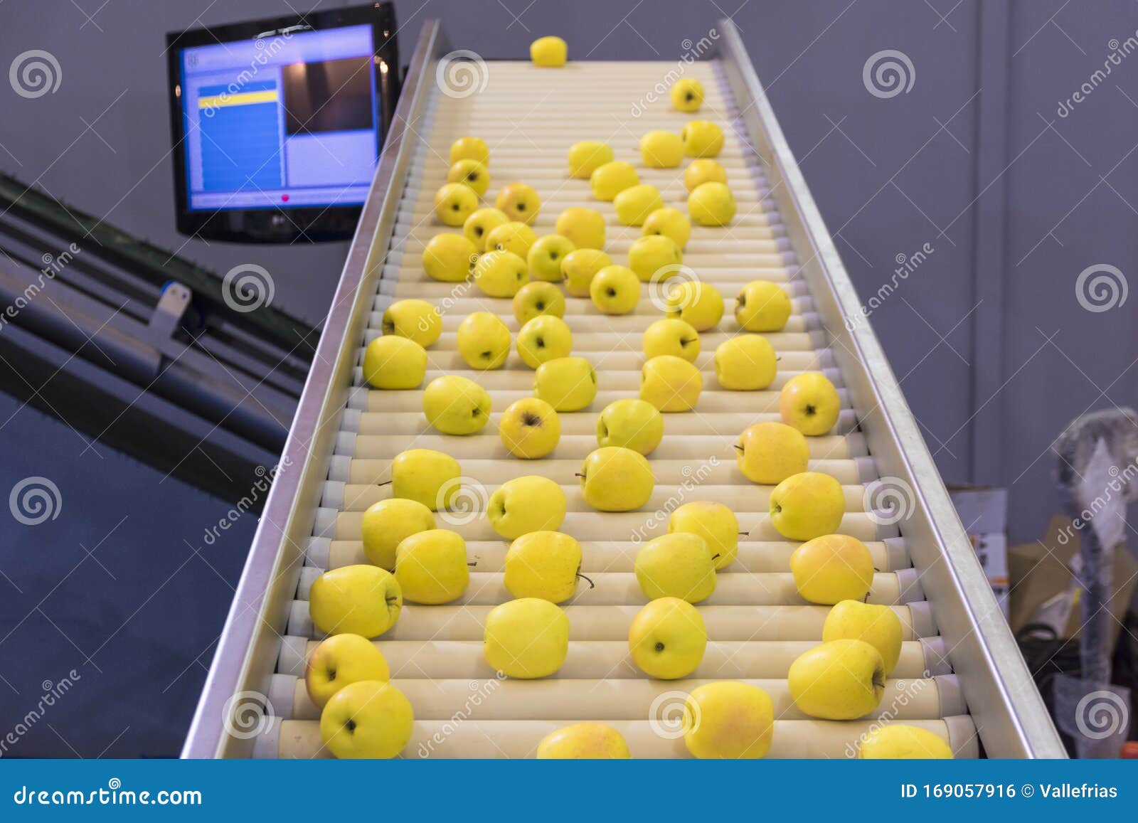 Machine to classify apples stock photo. Image of delicious - 169057916