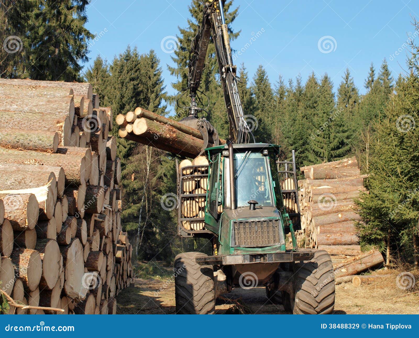 Machine for wood transport stock image. Image of forest - 38488329
