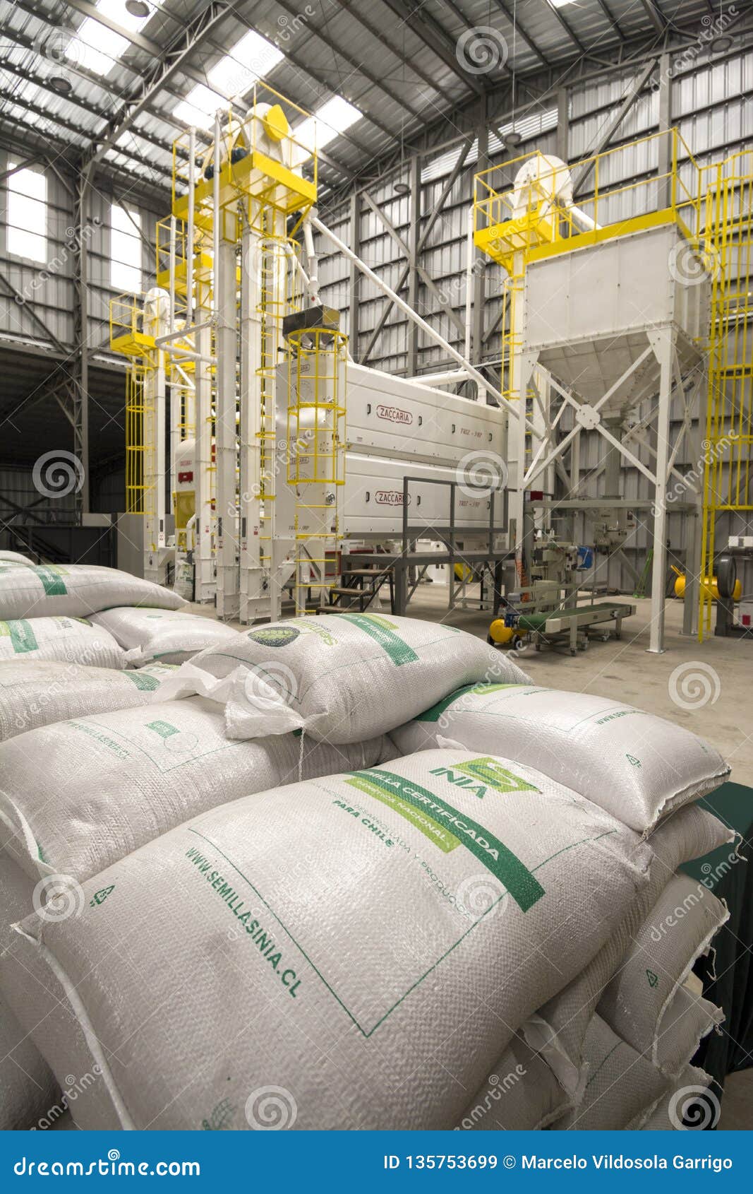 Seed Sorting Industry for Agriculture Editorial Stock Image - Image of ...