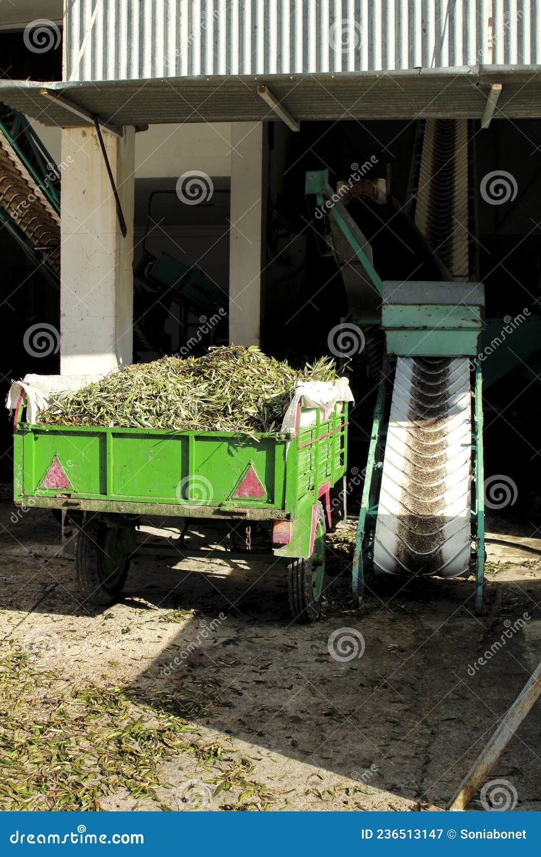 Machinery for Olive Processing in an Agricultural Warehouse Stock Image ...