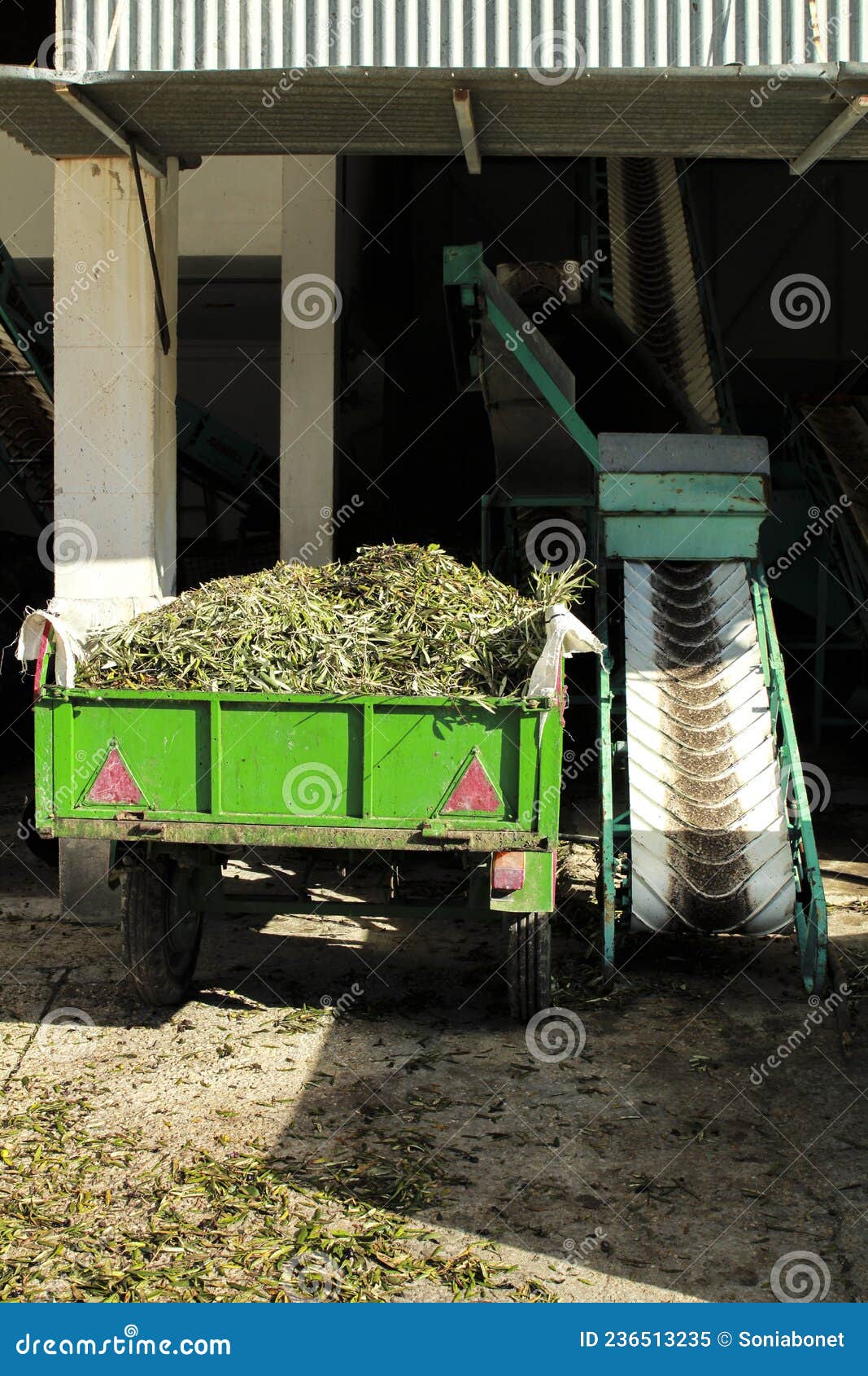 Machinery for Olive Processing in an Agricultural Warehouse Stock Image ...
