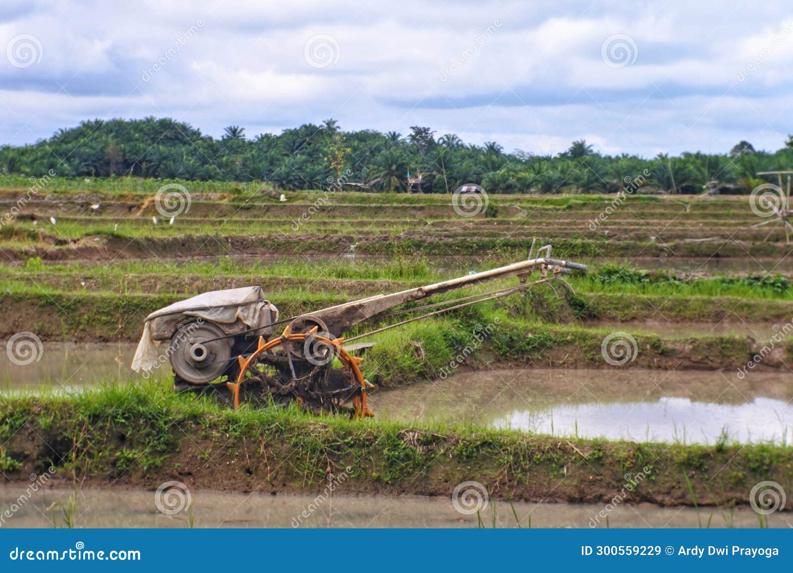 Machines for Plowing Rice Fields. Stock Image - Image of agree, affairs ...