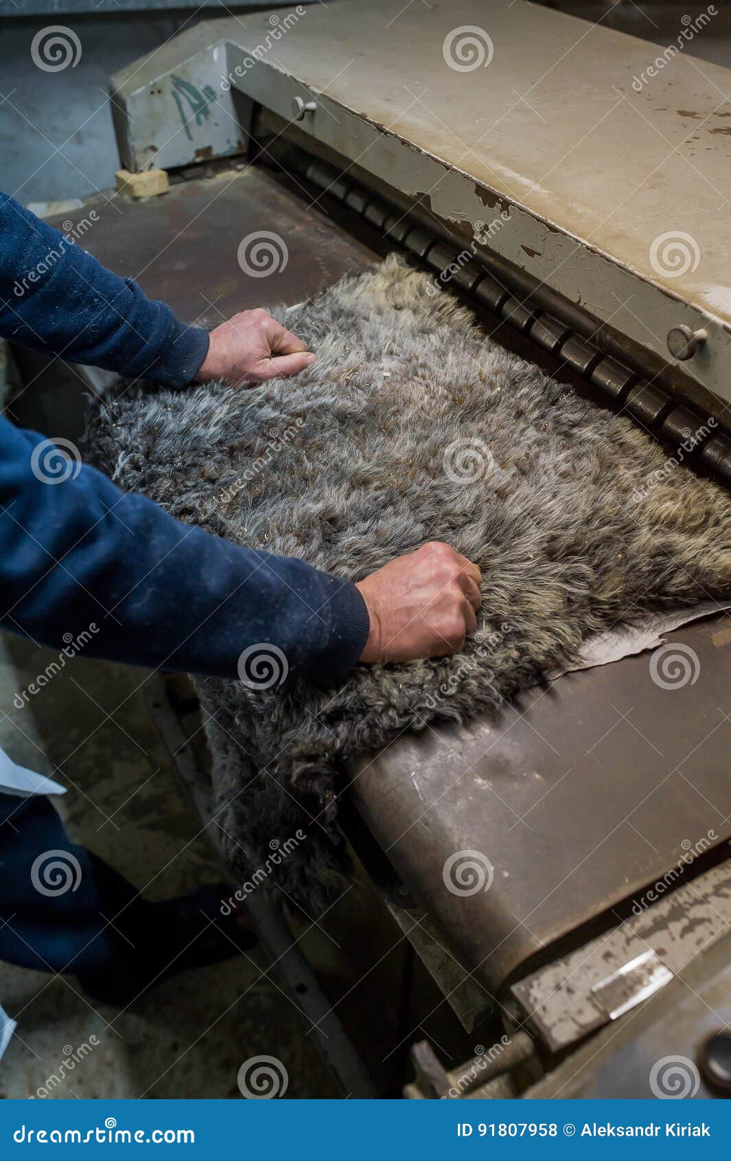 Machines for Processing Natural Leather and Fur Stock Photo - Image of ...