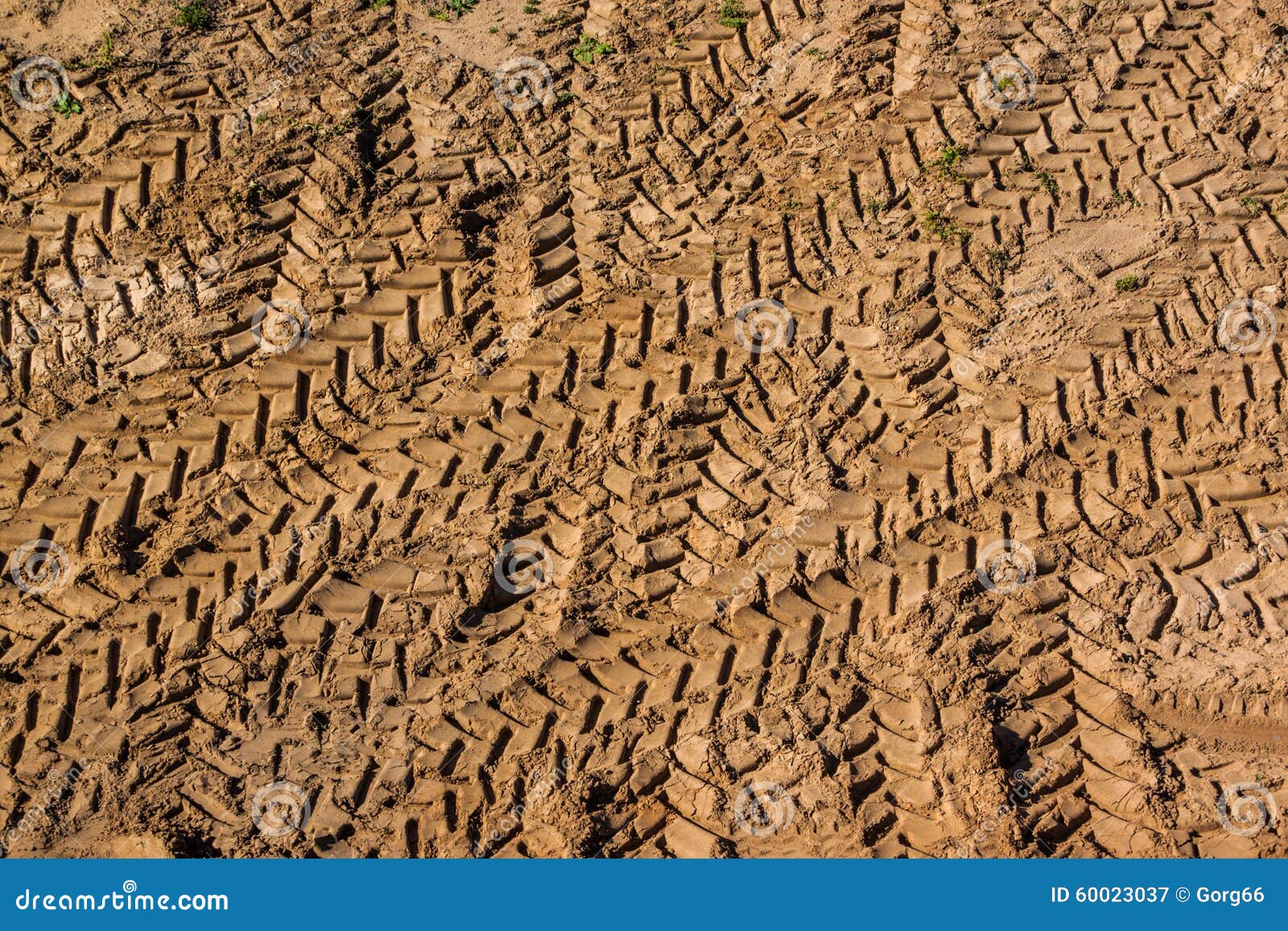 Machines Tracks on the Field of Construction Stock Image - Image of ...