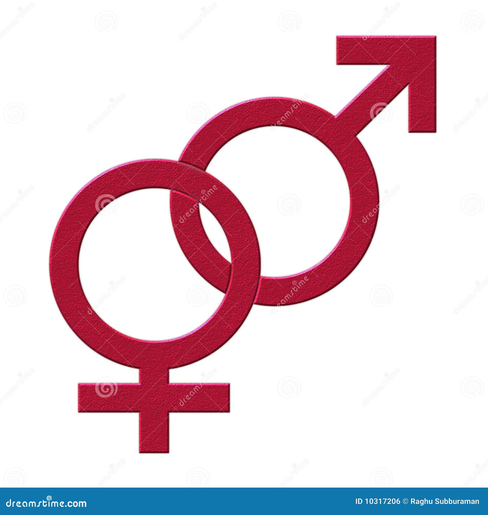 Macho e fêmea ilustração stock. Ilustração de heterossexual - 10317206