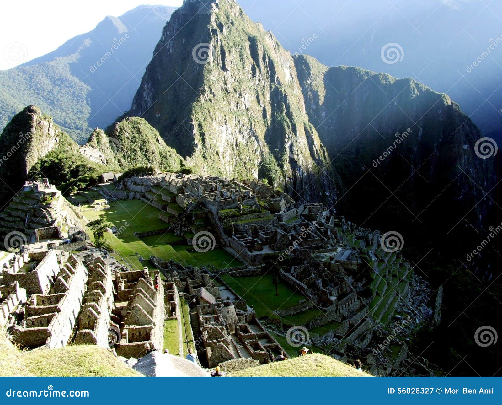 Macho pecho editorial photography. Image of macho, dark - 56028327