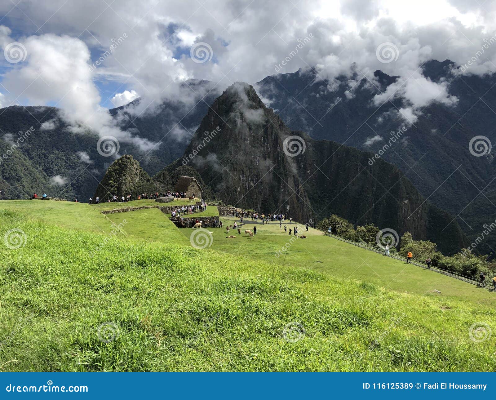 Macho Picho stock image. Image of peru, picho, mountains - 116125389